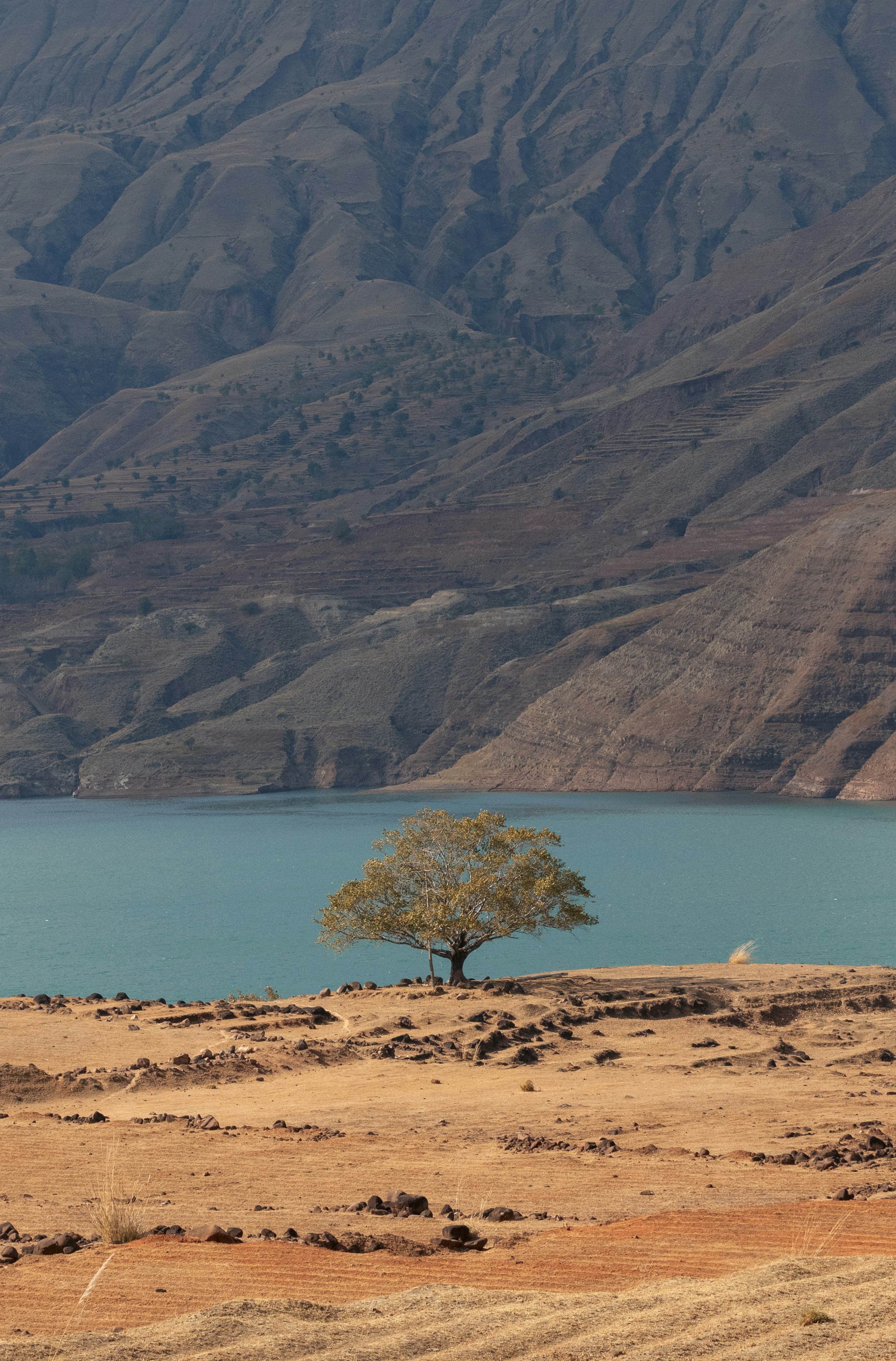 Photo by Cexin Ding with Canon EOS 70D