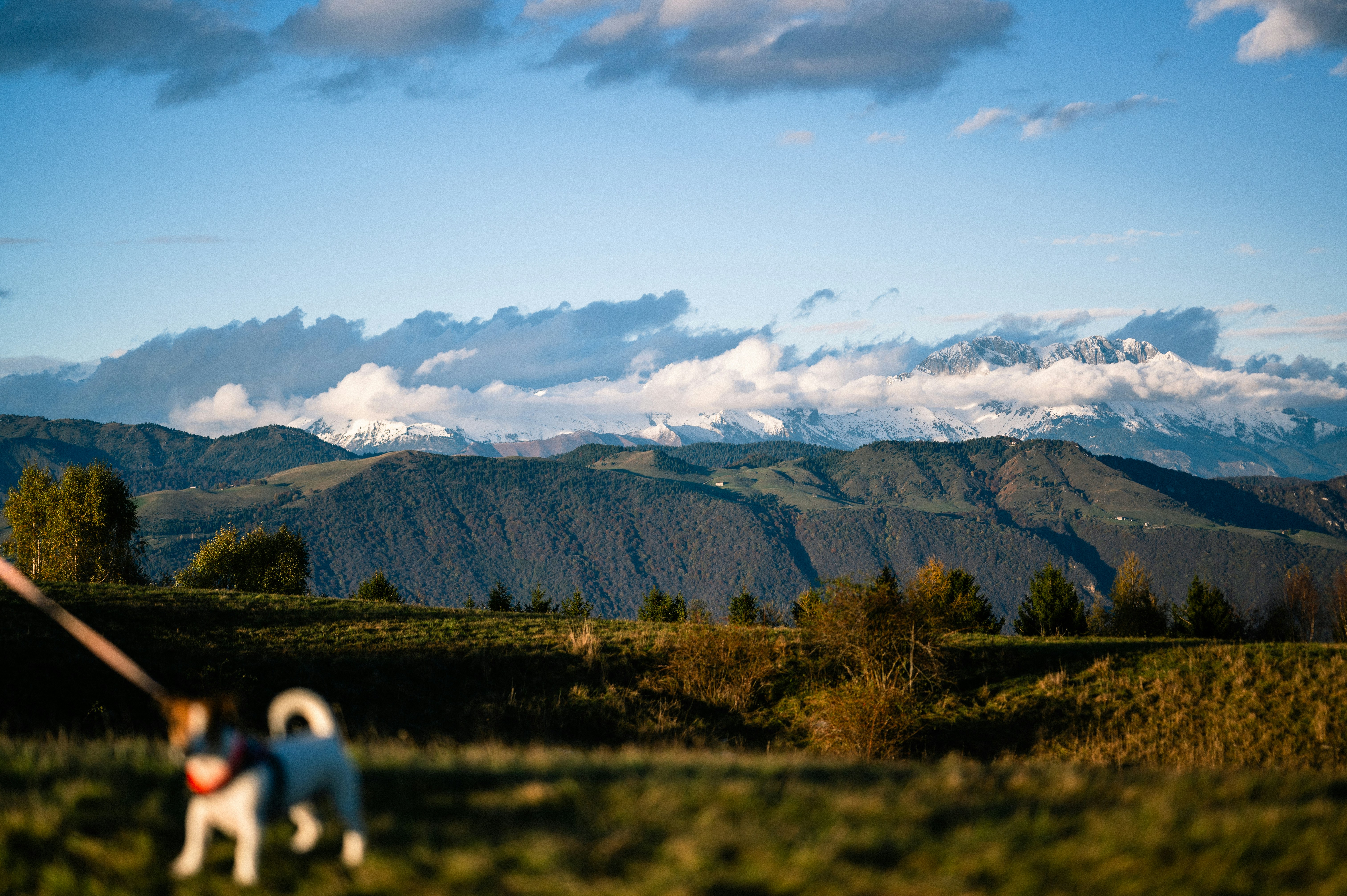 Horizon Whisper: A Golden Field Framing a Distant Mountain Ridge Under a Broad Blue Sky