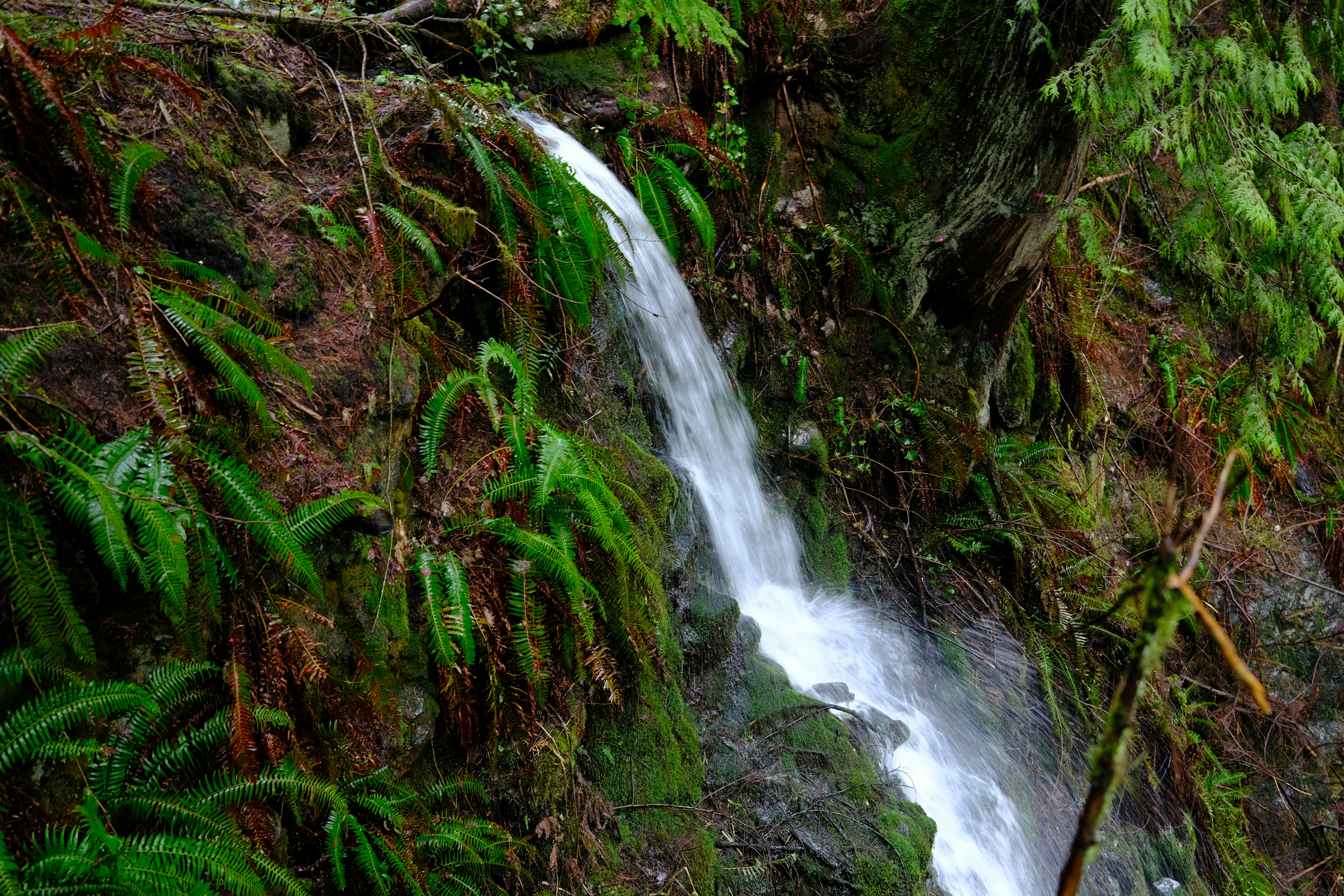 Waterfall cascading down a mossy rock face surrounded by lush greenery.