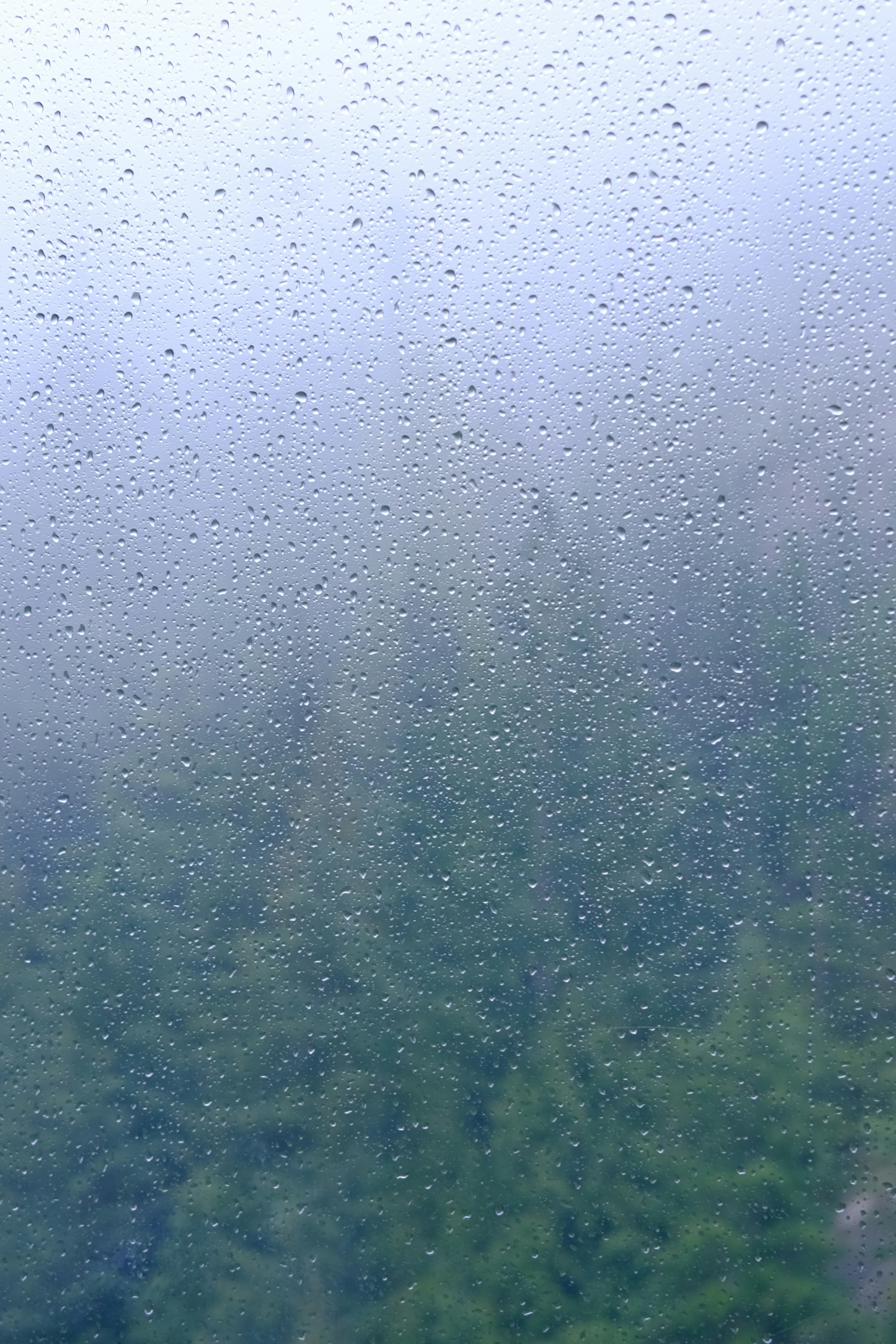 Rain on Glass: Forest Veiled by Fog Through a Window of Drops
