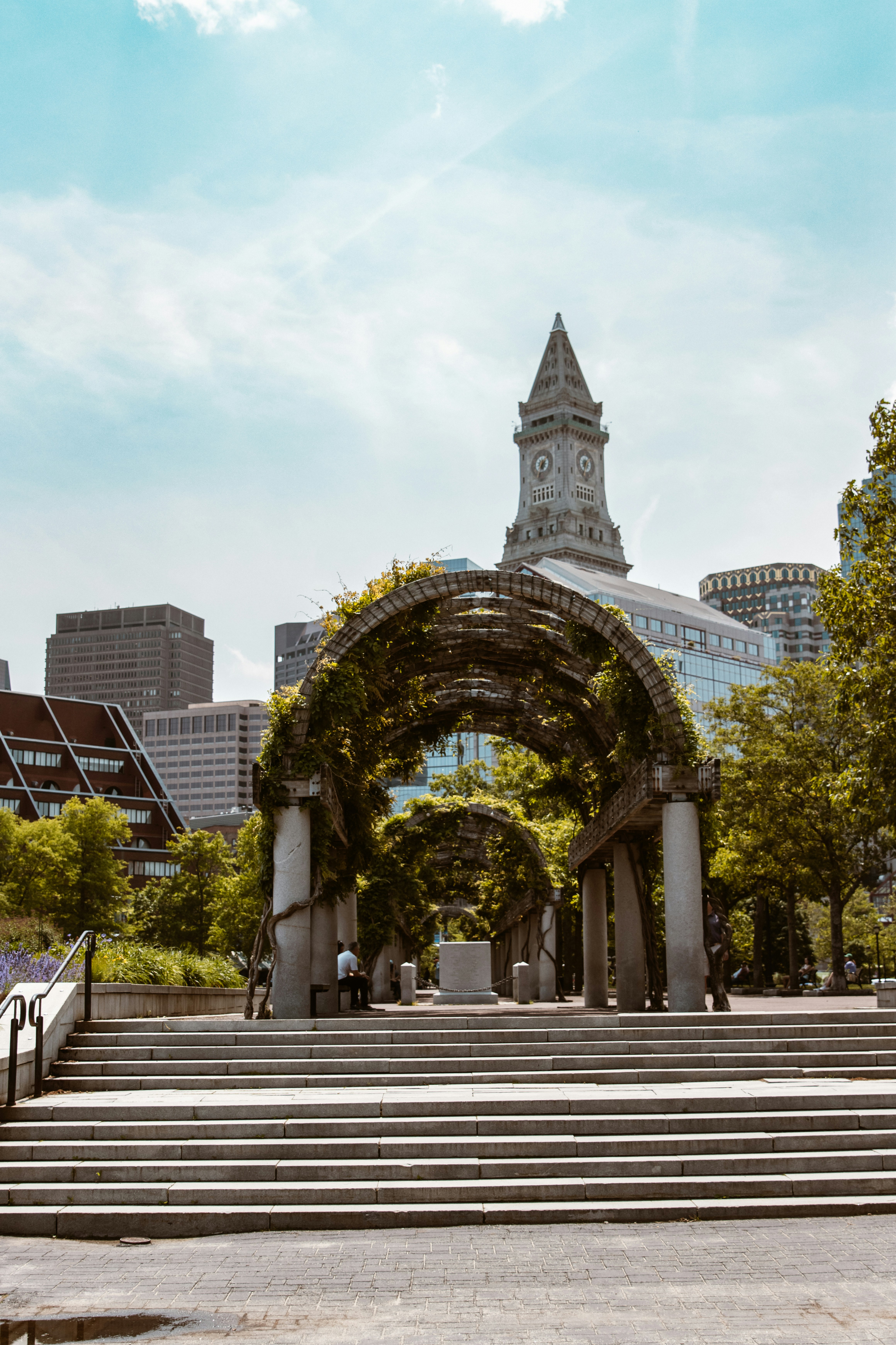 Ivy-arched Corridor Framing a City Skyline and Clock Tower