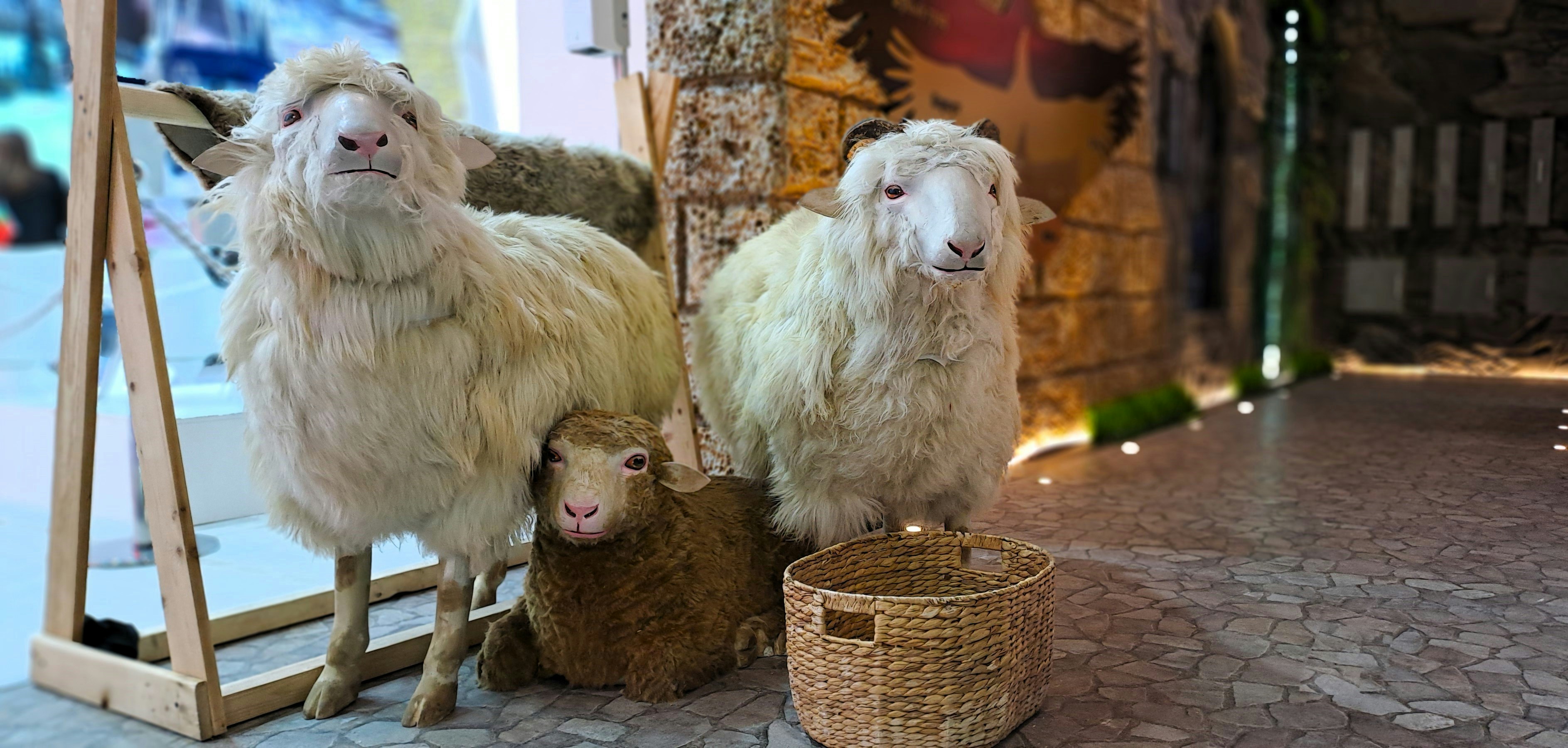 A trio of sheep at a market stall under warm lighting, with a brown lamb in front and two white adults behind, beside wicker baskets.