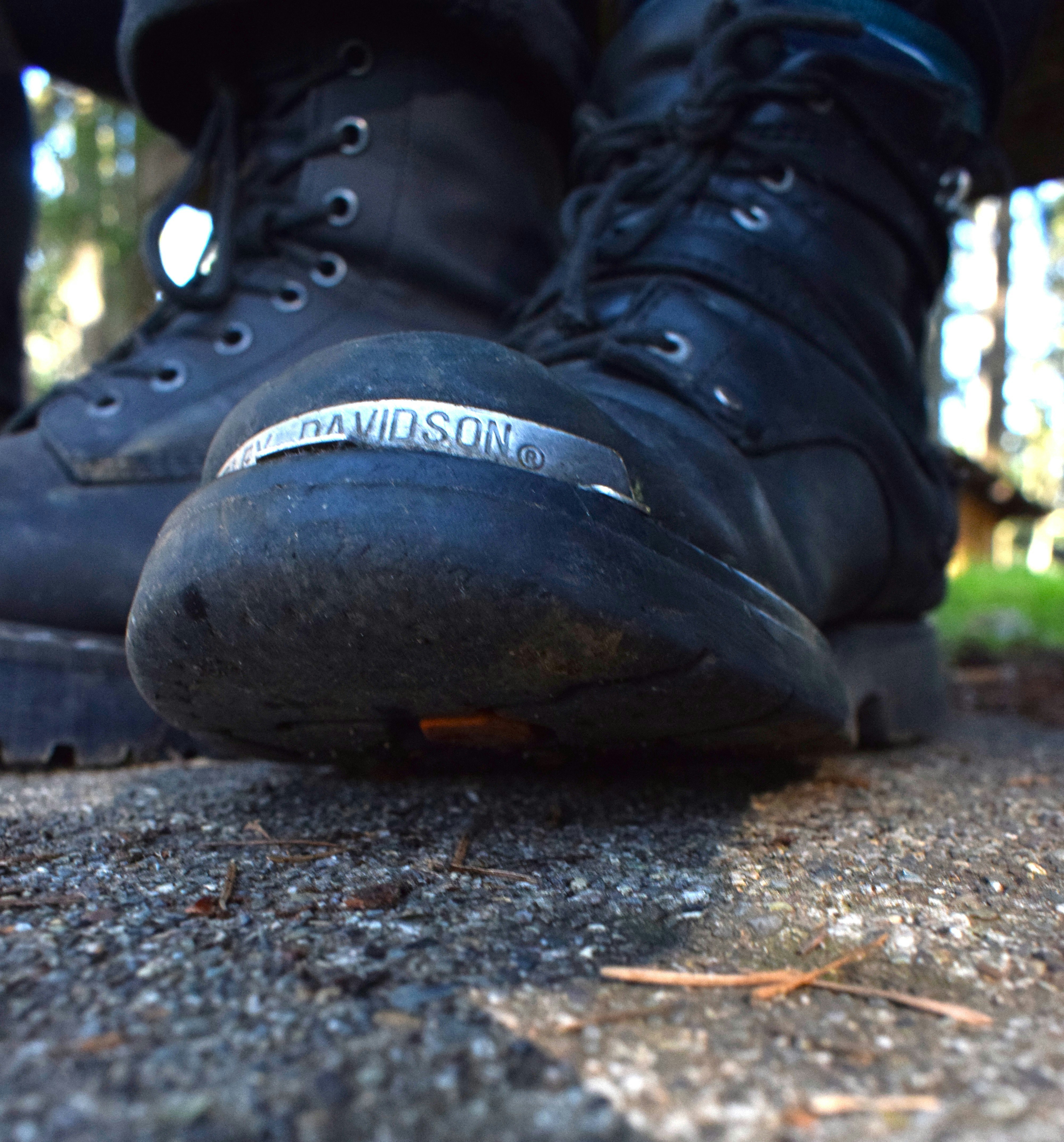 Harley-Davidson Toe on Gravel: A Ground-Level Forest Portrait