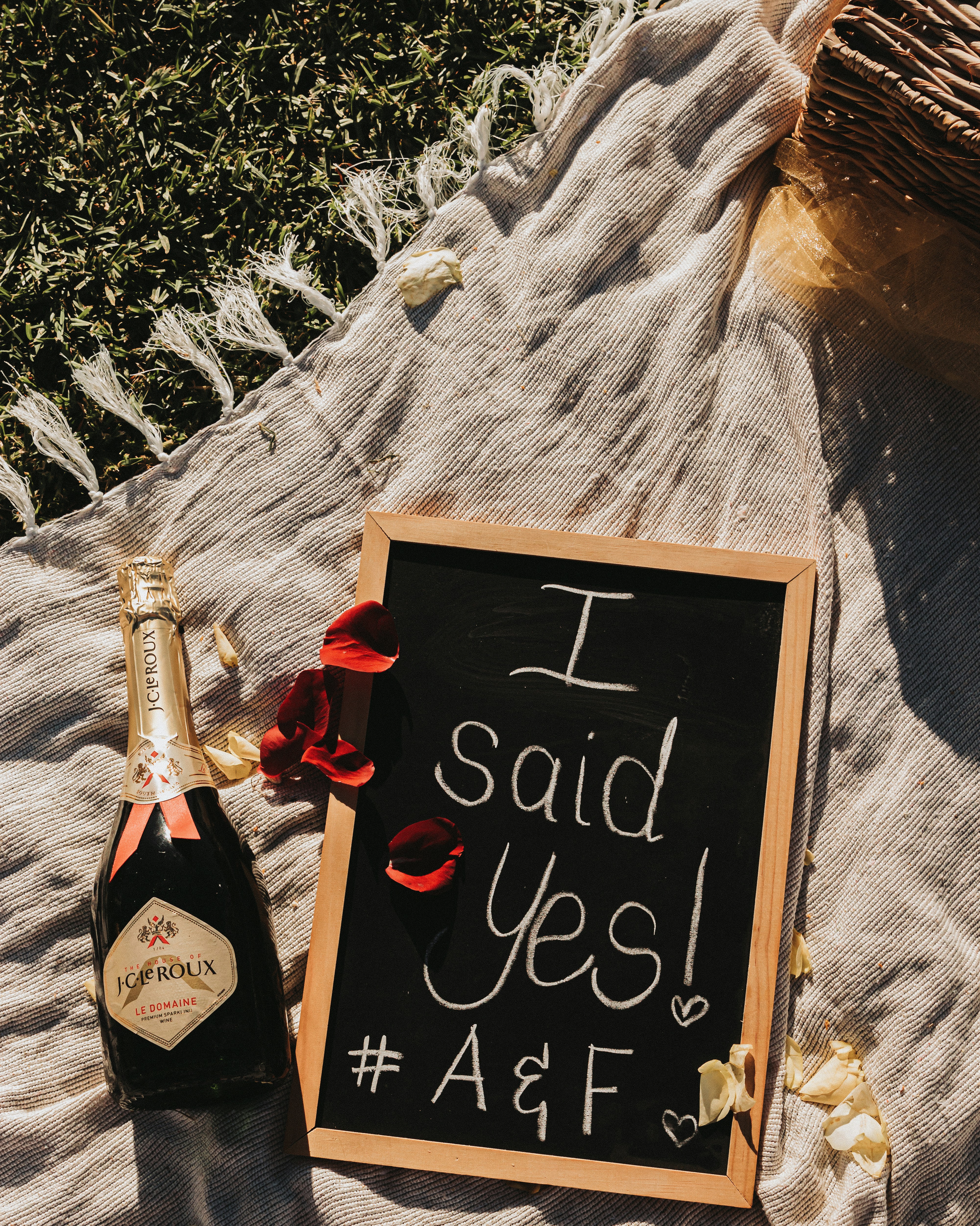 I Said Yes! Chalkboard Moment with Champagne and Petals
