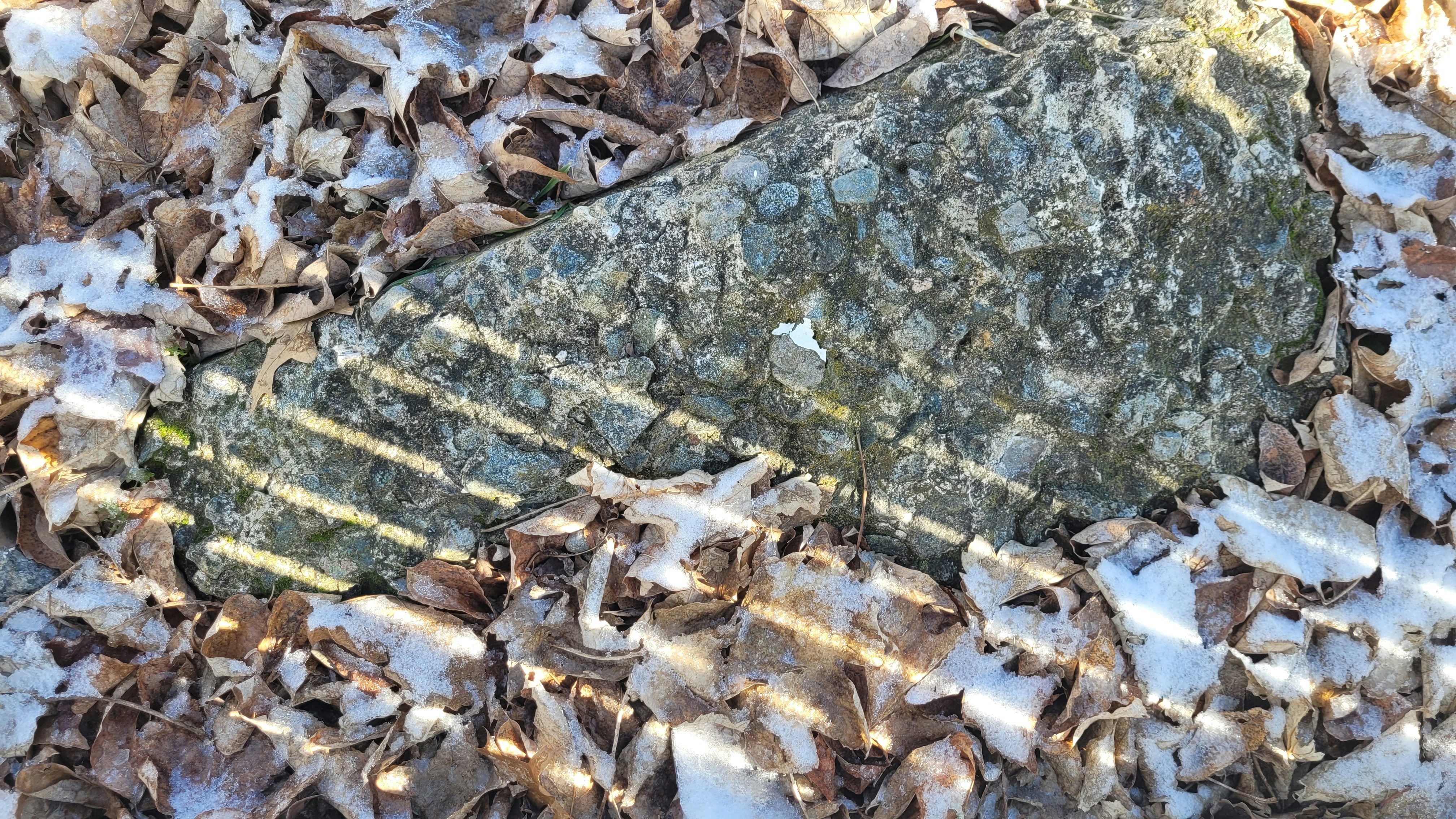 Stone Staircase Cresting Through Autumn Leaves