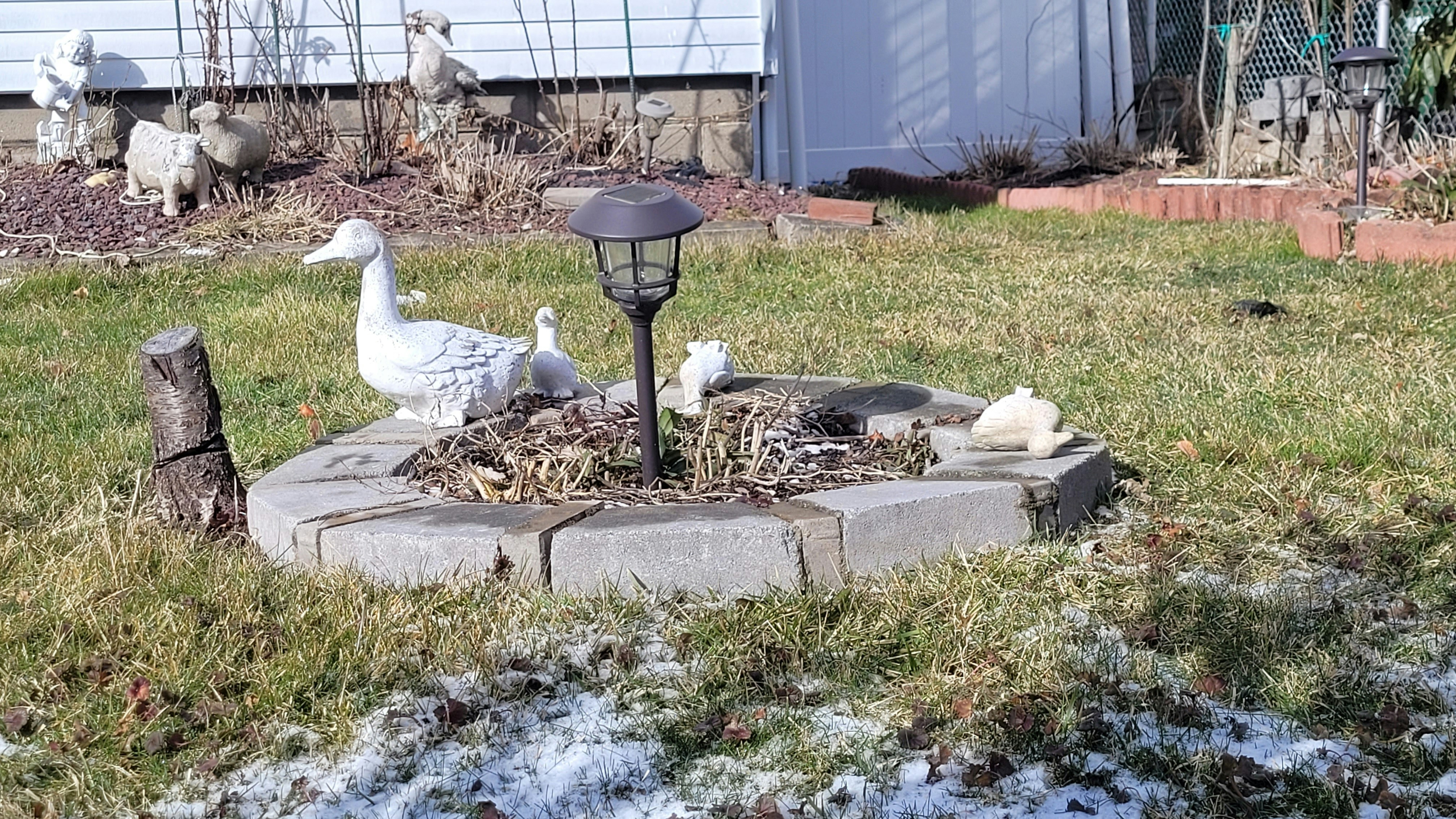 Winter's Quiet Ring: A White Duck Statue Guards a Twig-Dusted Circular Garden Bed