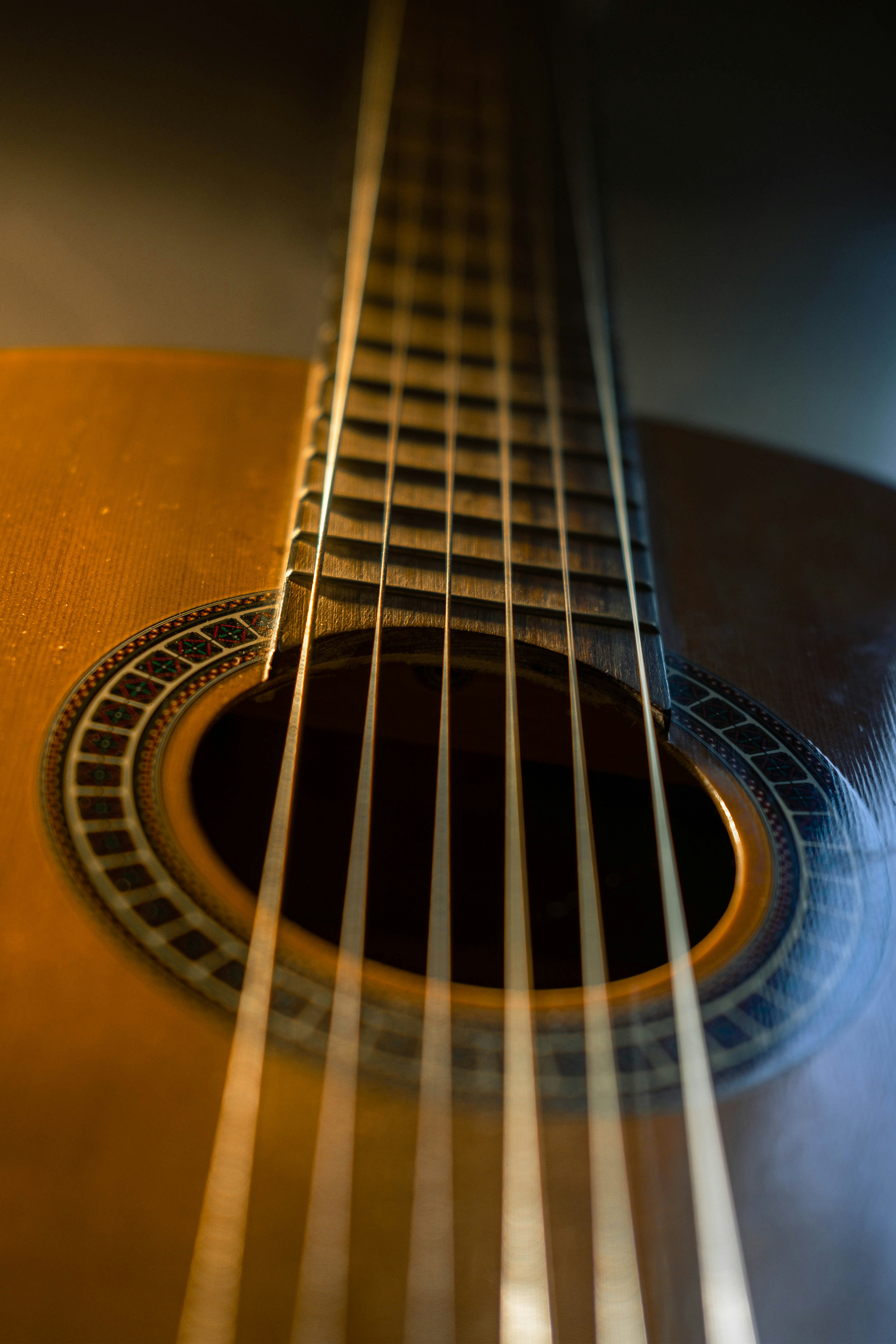 A close up of a guitar strings and strings photo – Free Musical ...