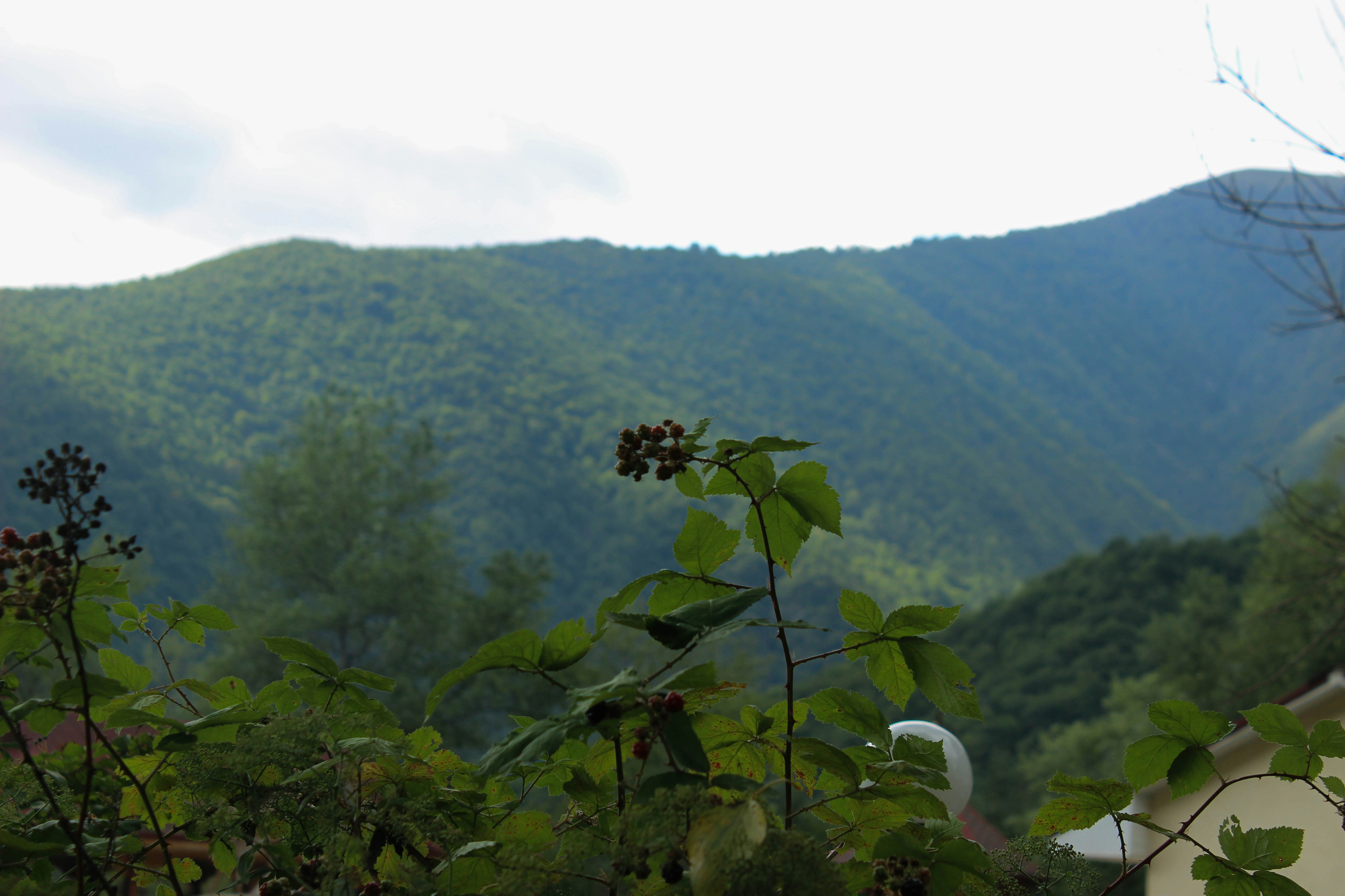 Photo by Mahsati Jalilli with Canon EOS 600D