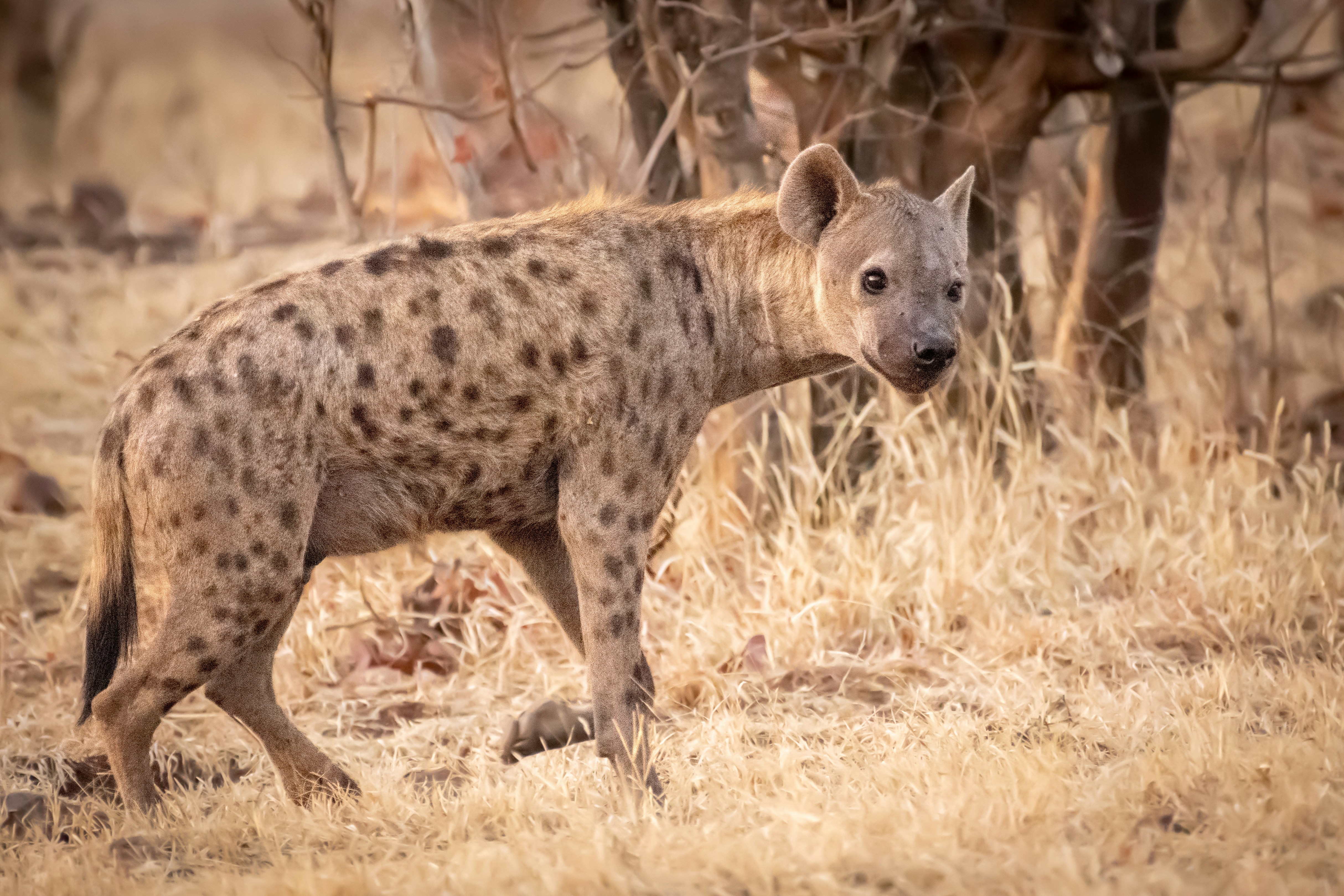 Photo by Andreas Vonlanthen with Nikon D5300