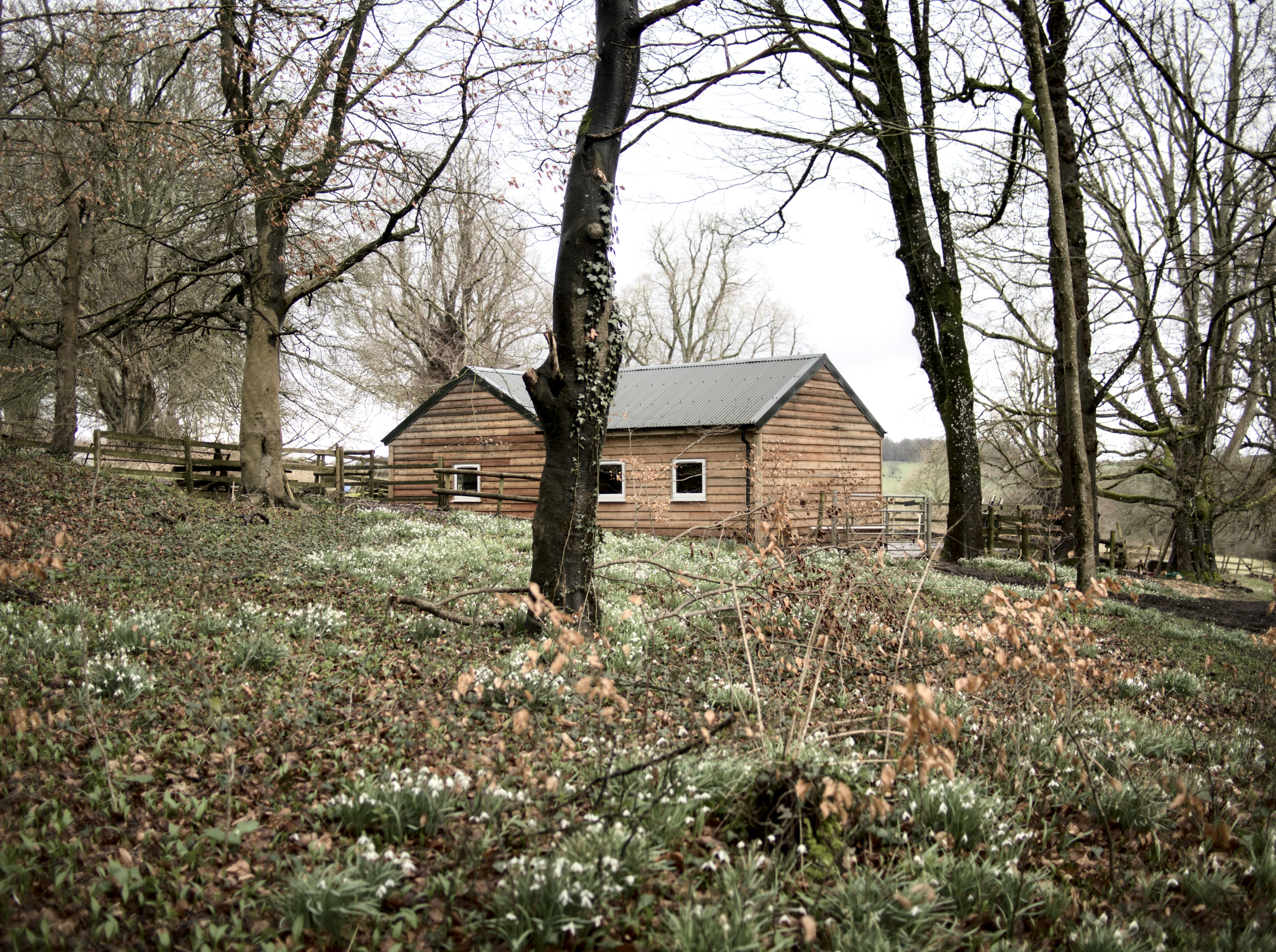 Sample photo from Olympus OM-D E-M5 Mark III