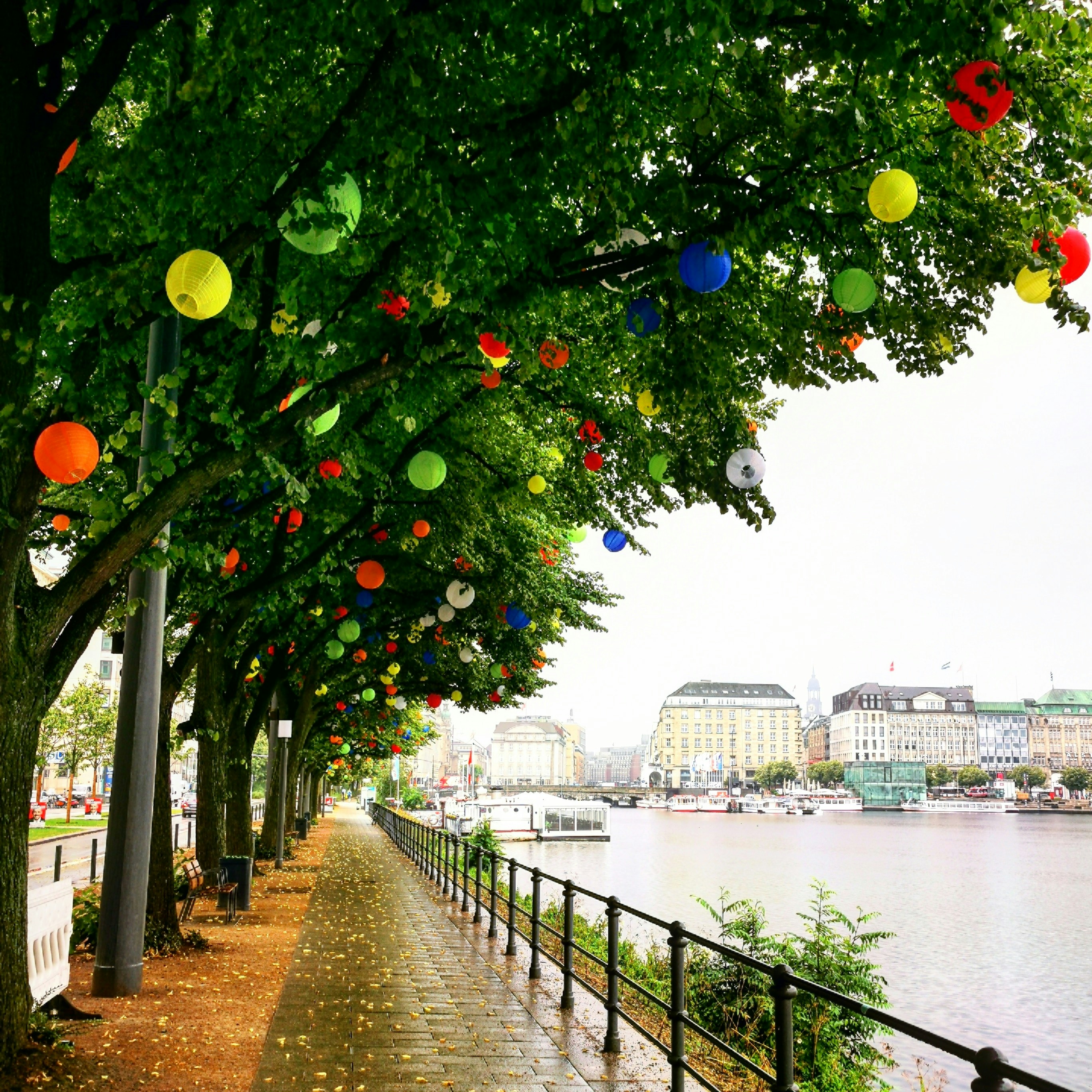 A row of trees with colorful balls hanging from them photo – Free Car ...