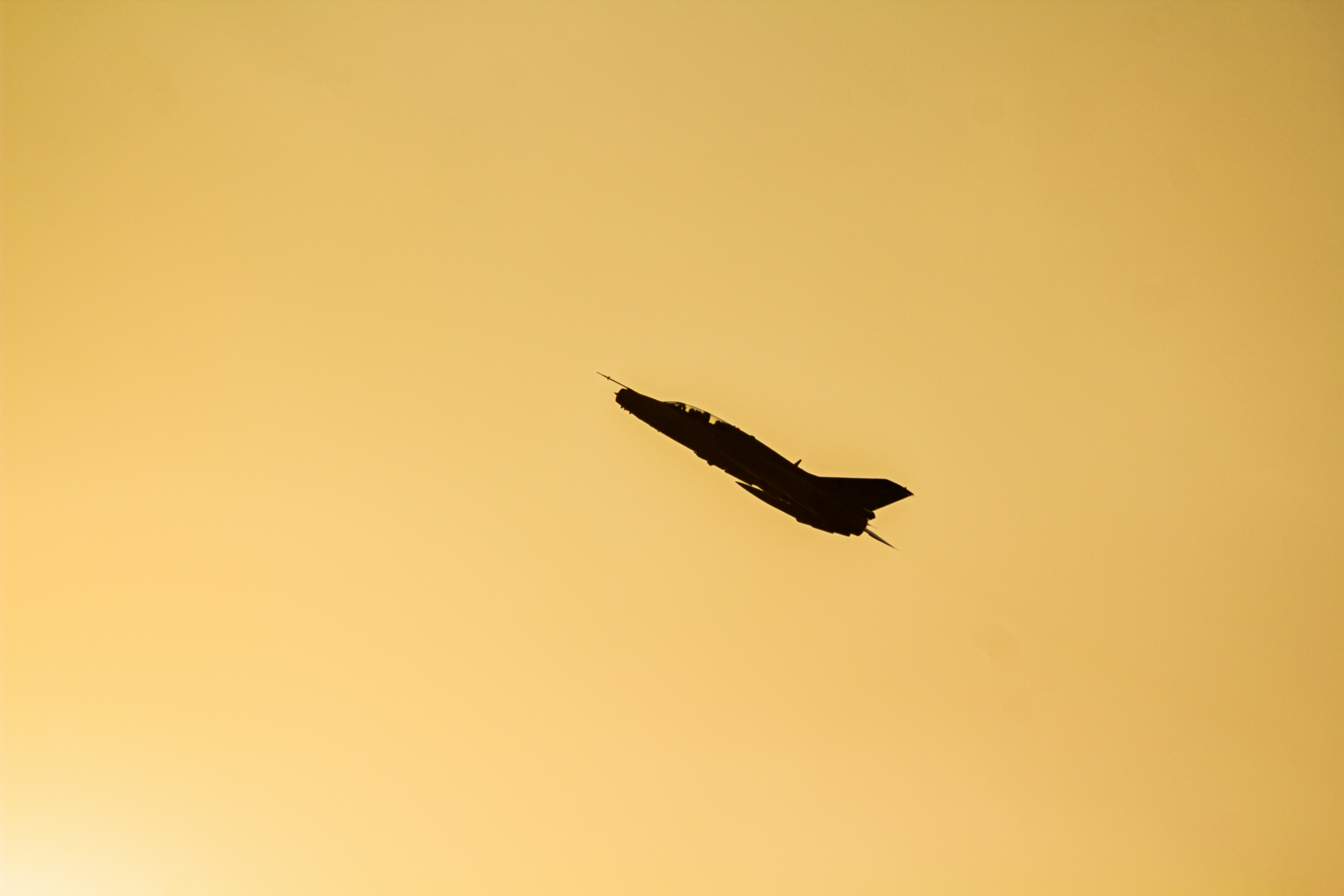 Solitary Raptor Traces a Gentle Arc Across a Golden Sunset