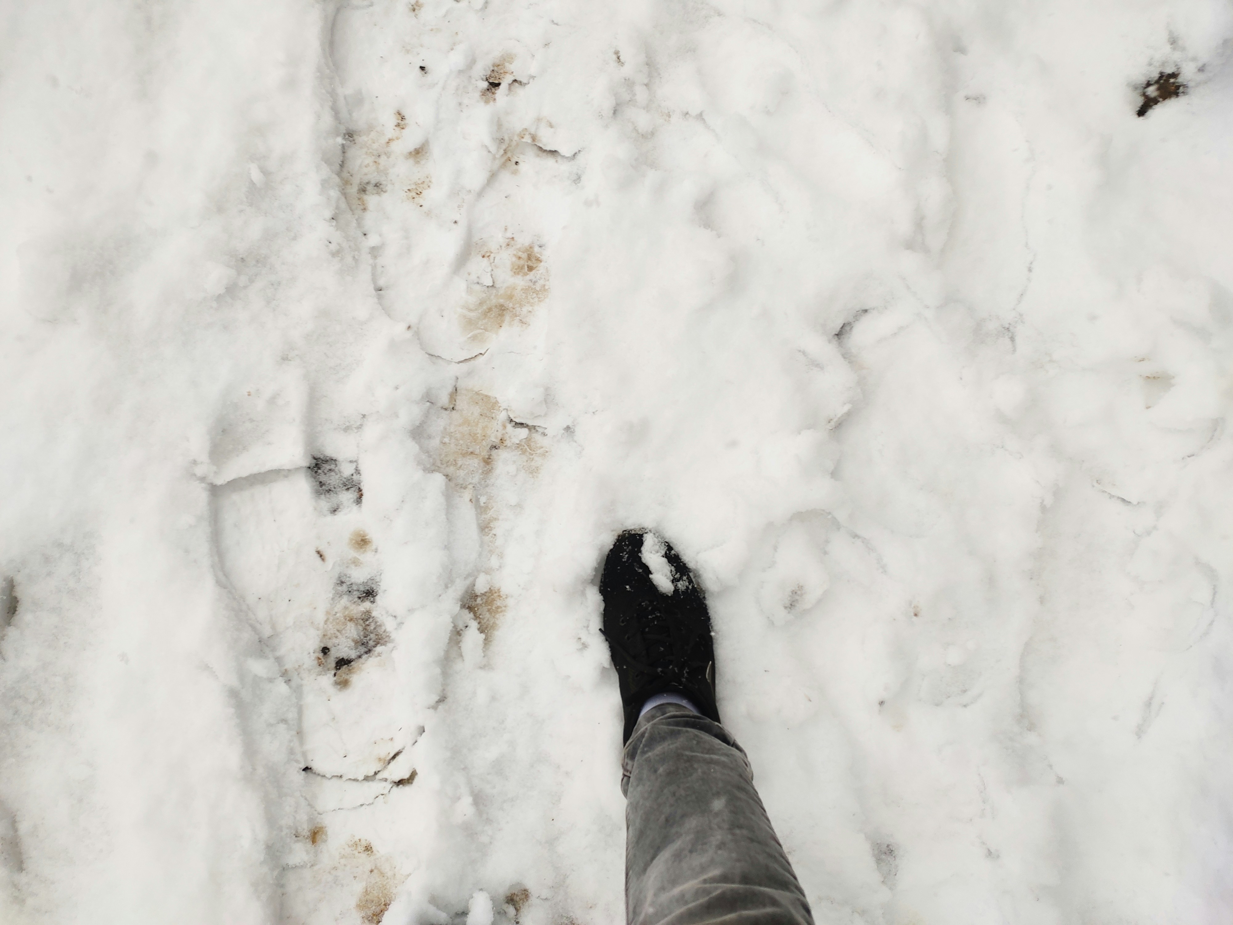 A person standing in the snow with their feet in the snow photo – Free ...