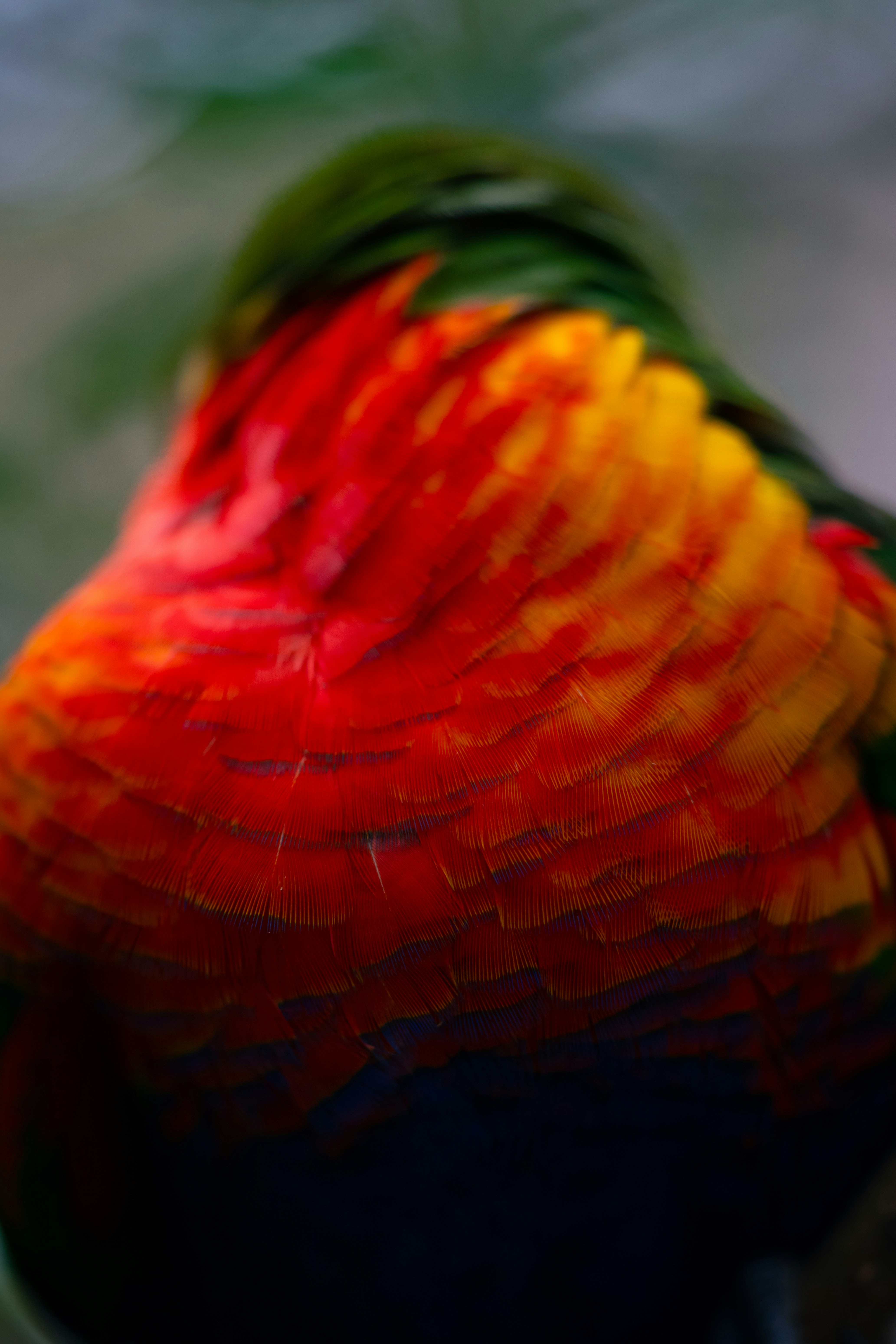 Photo by Bro Takes Photos with Sony Alpha 7R III