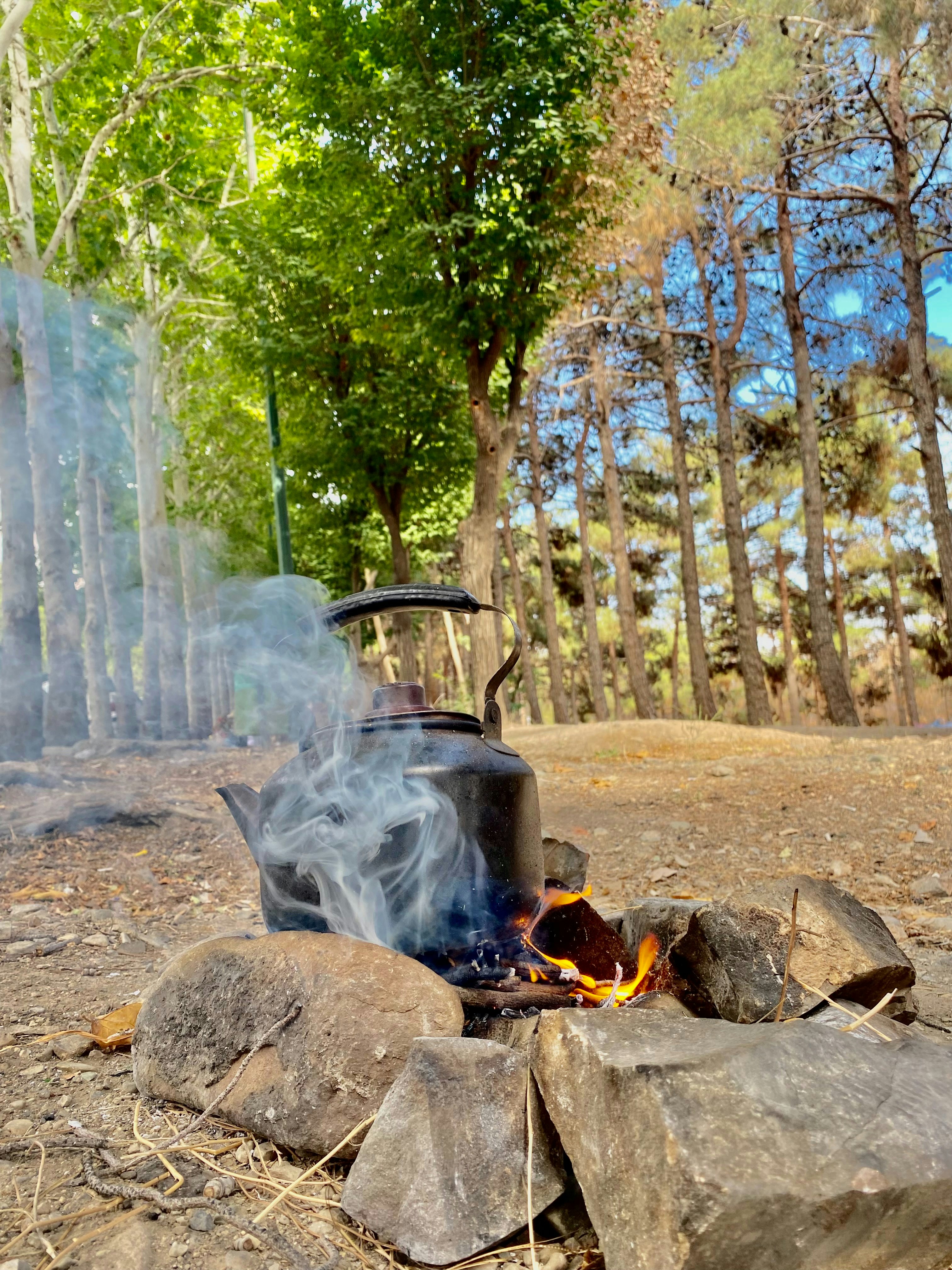 Ember Ring: Kettle Over a Rock Circle in the Pines