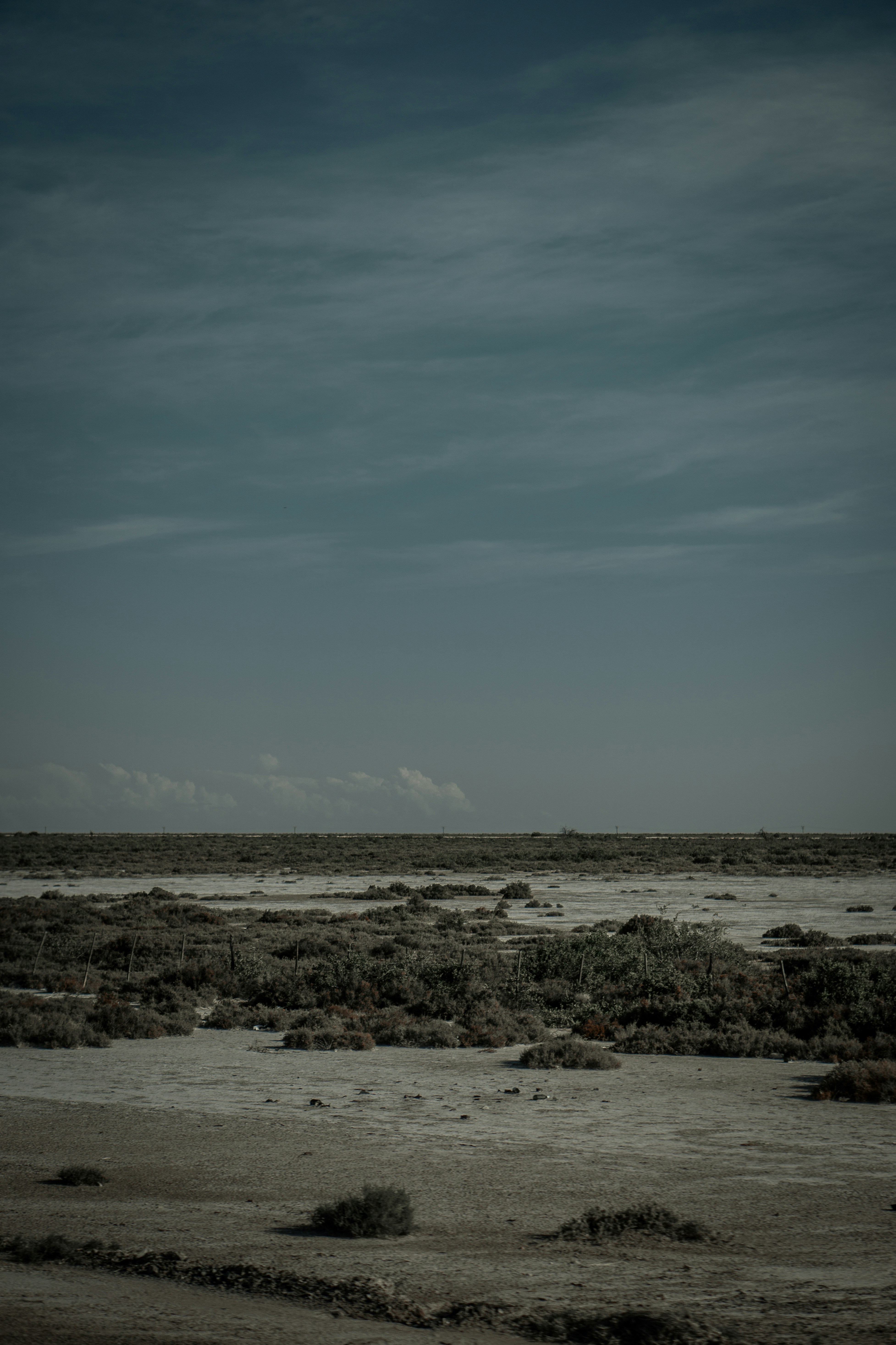 A black and white photo of an empty field photo – Free Grey Image on ...