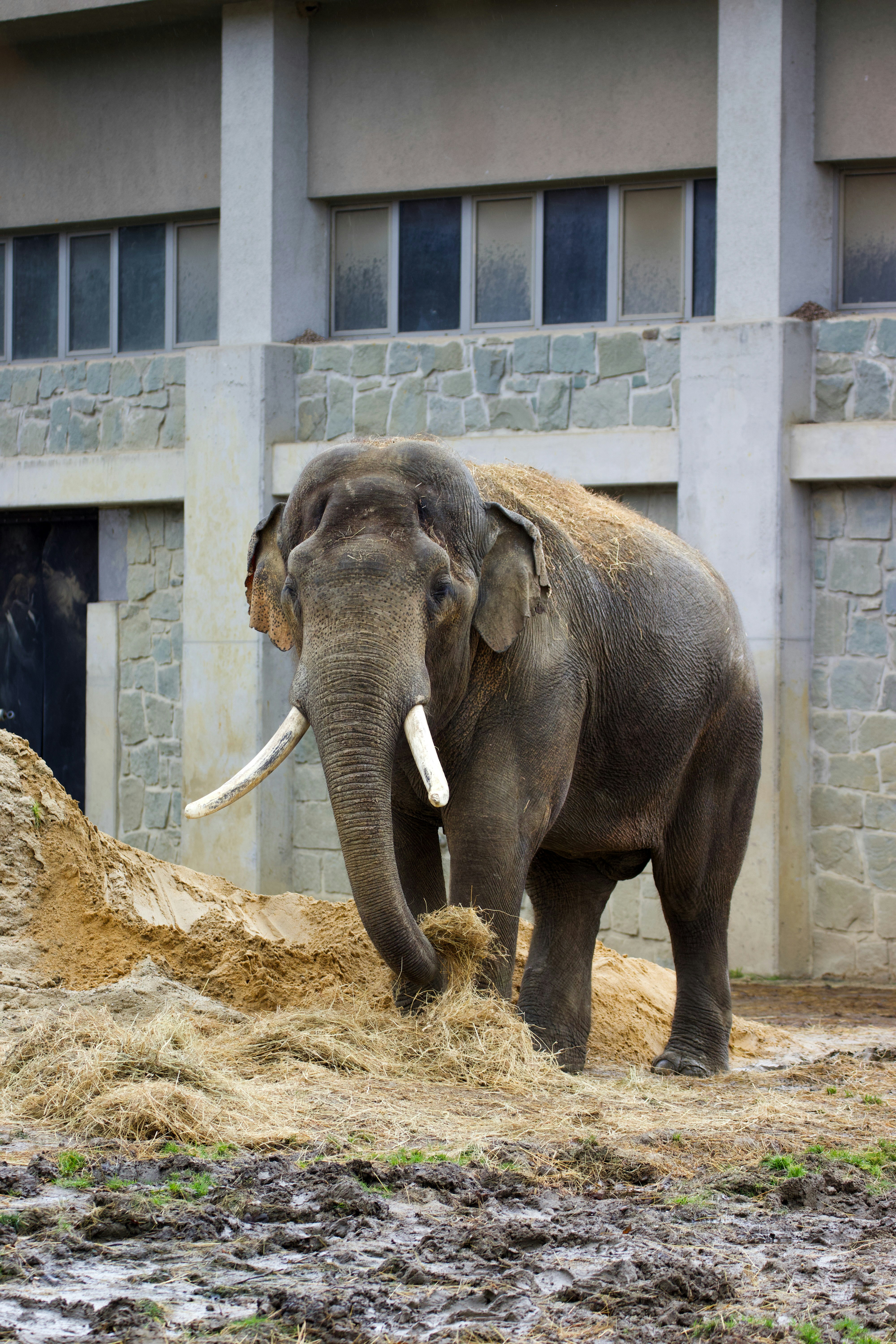 Photo by Jakub Neskora with Canon EOS 250D