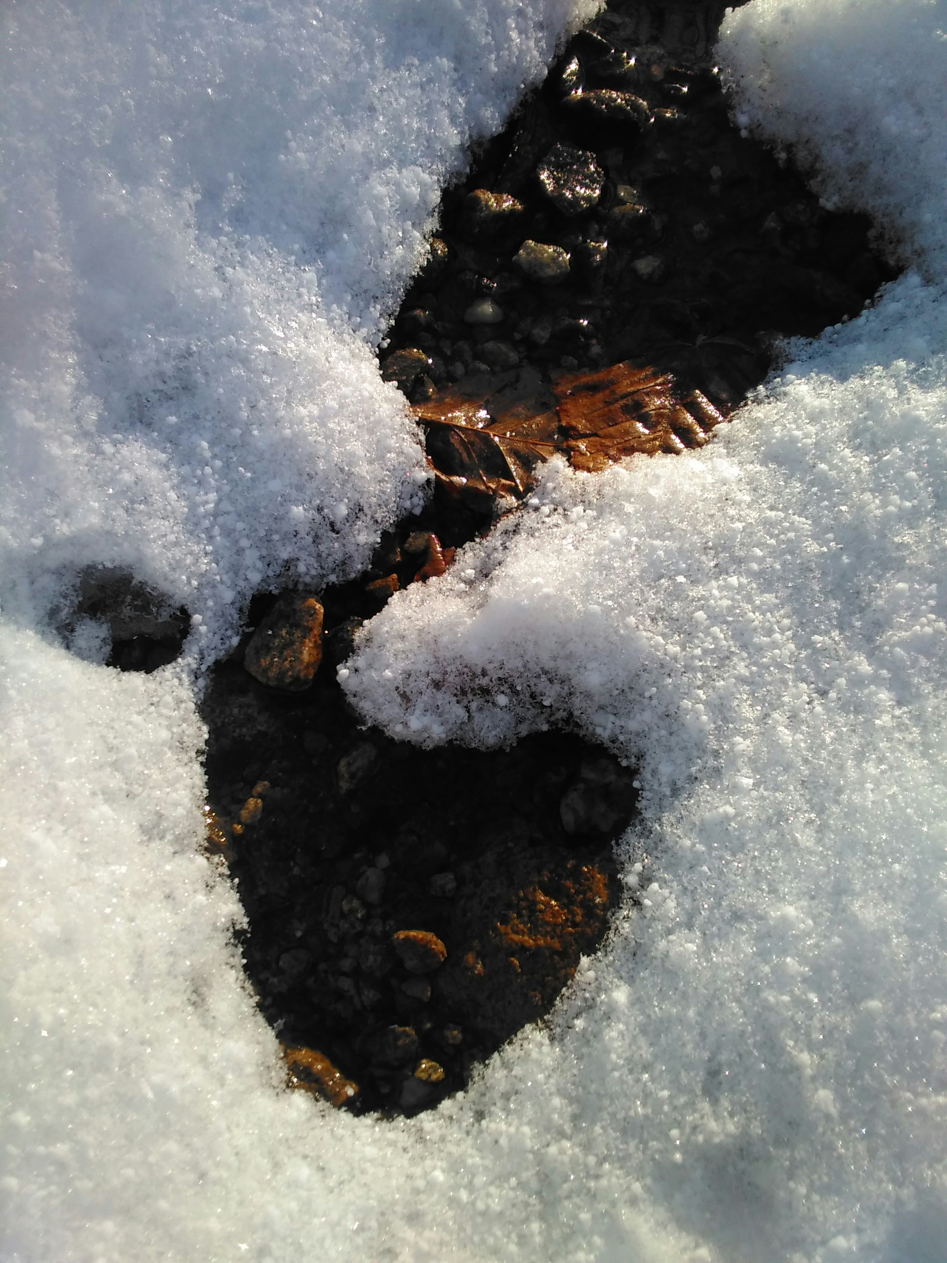 Pebbles Through Snow: a Narrow Creek Winding Under Winter Light
