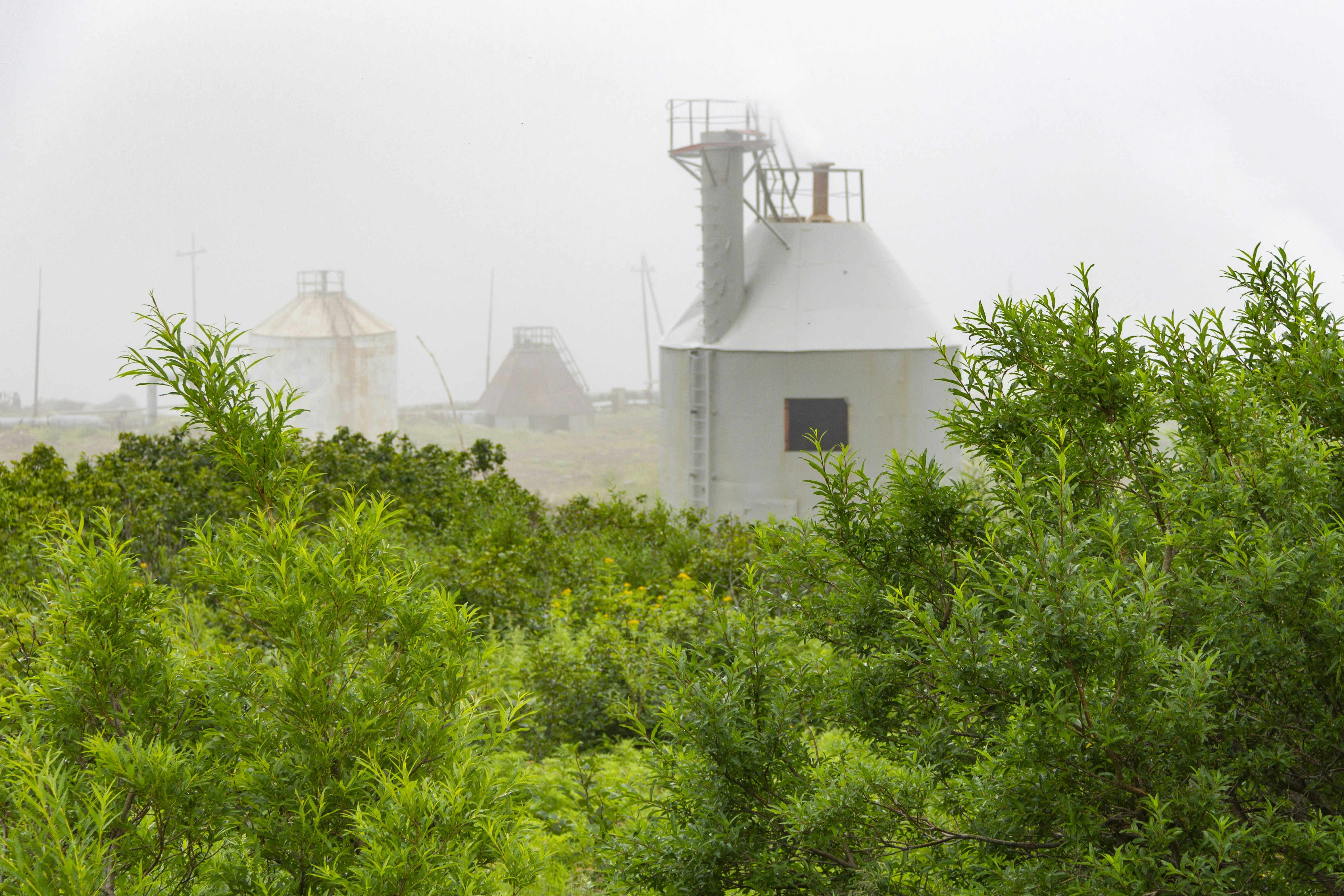 Fog-Laced Silos Rise Beyond Verdant Field