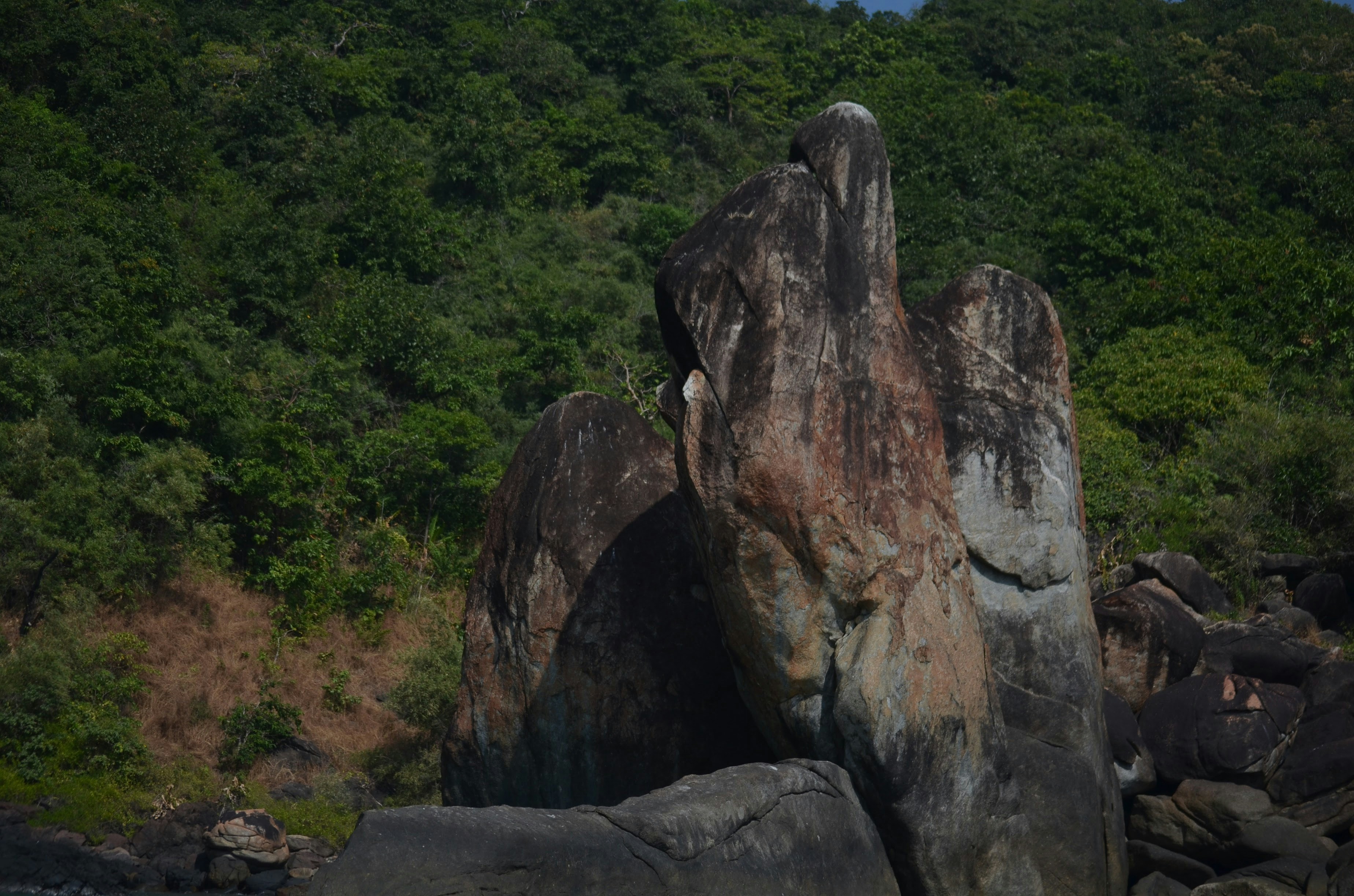Granite Pillar Rising from a Forested Shore