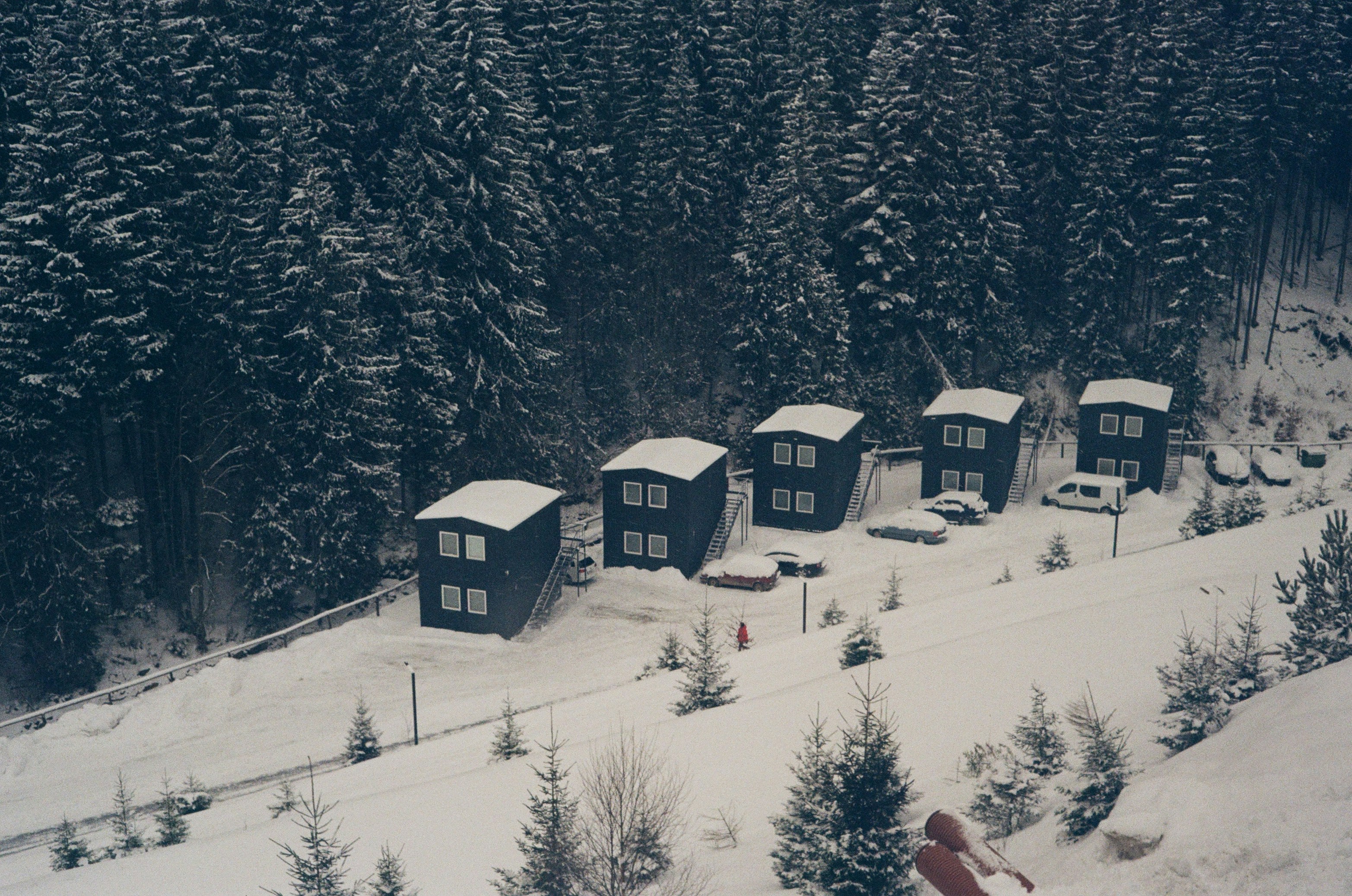 Snow-covered cabins nestled in a dense forest of towering evergreens.