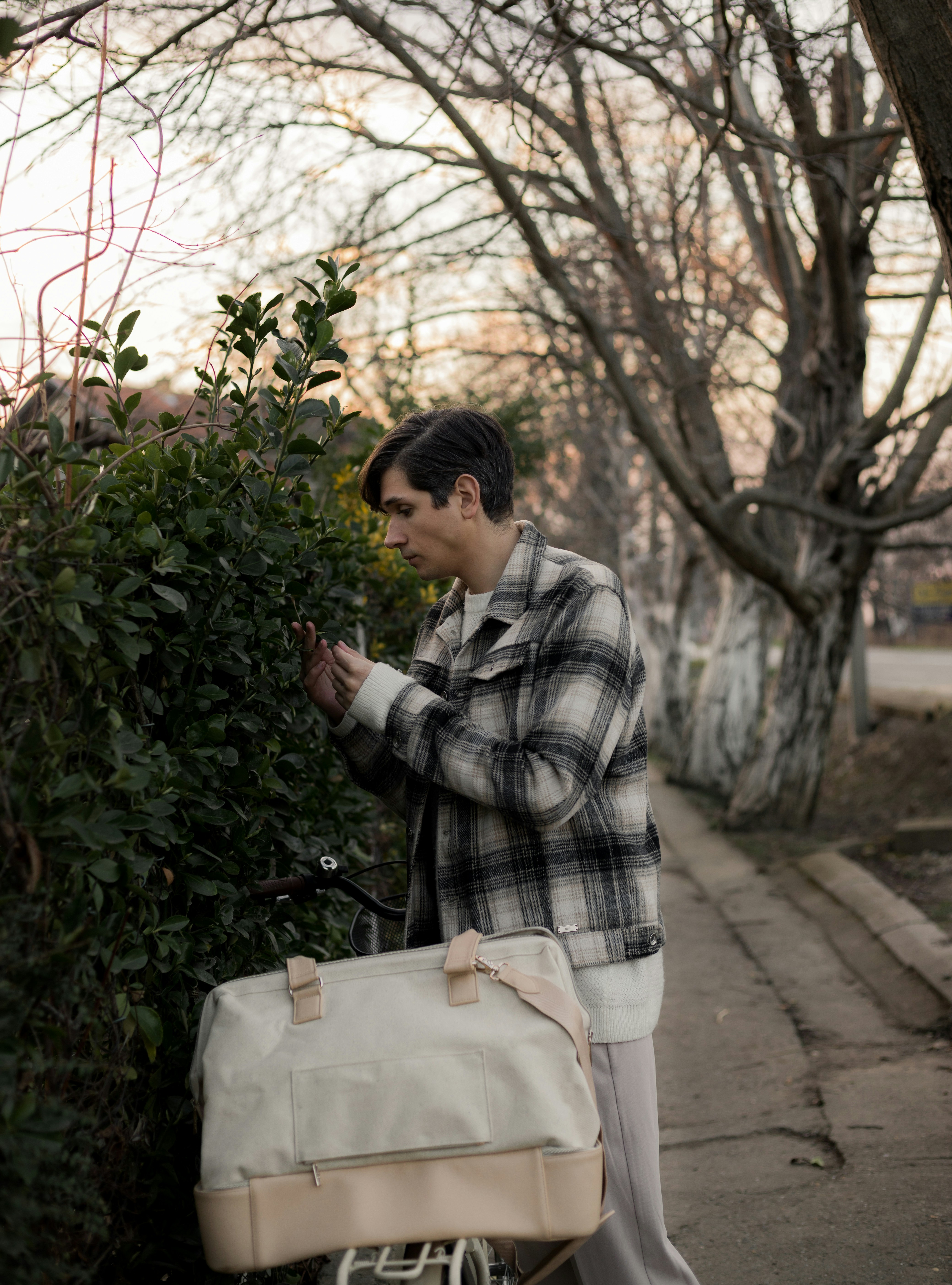 Evening Quiet: A plaid-jacketed man tending a hedge beside a commuter bicycle
