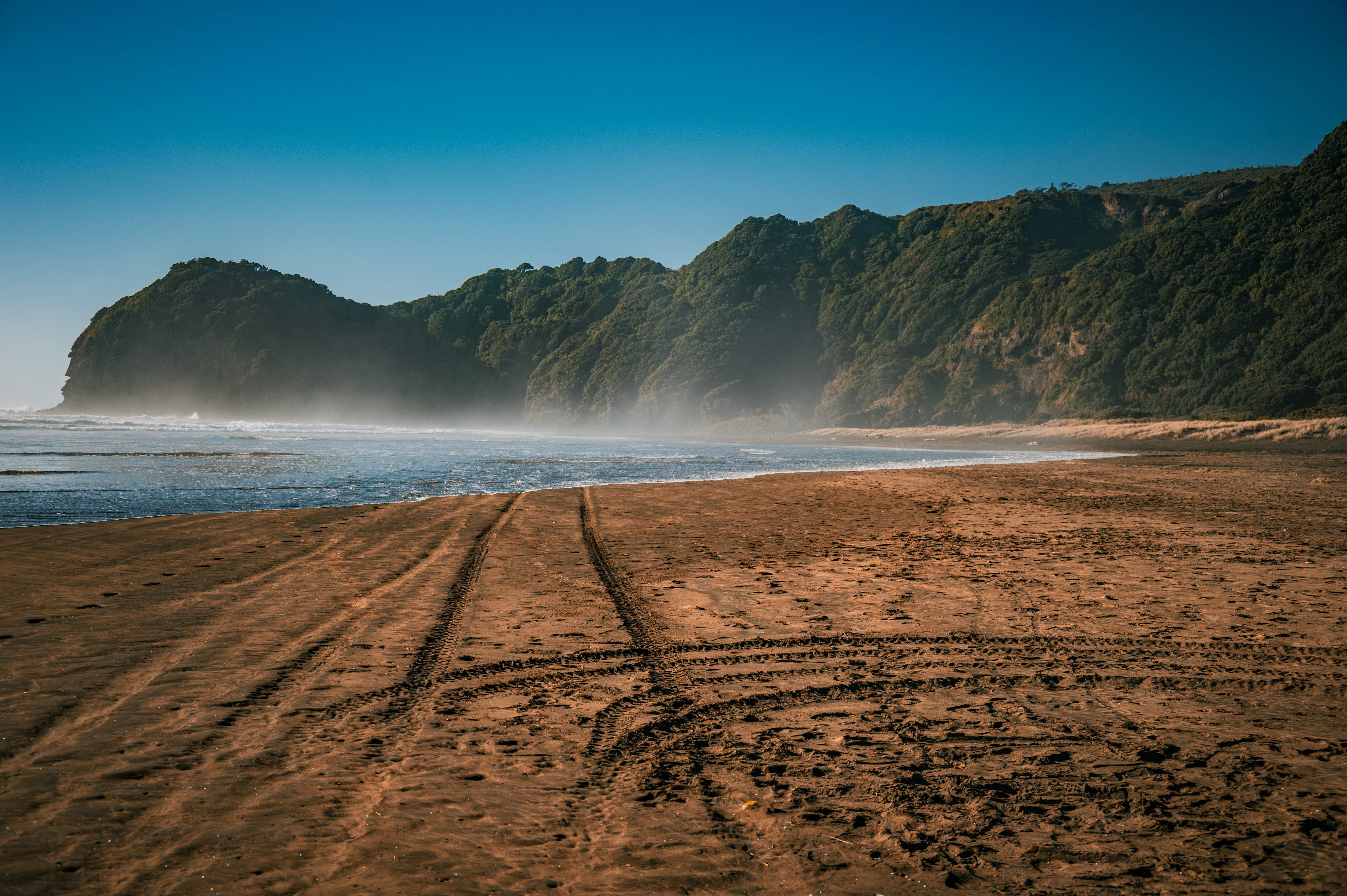 Sunlit Traces: Tire Tracks Carved Across Dune-Rimmed Beach