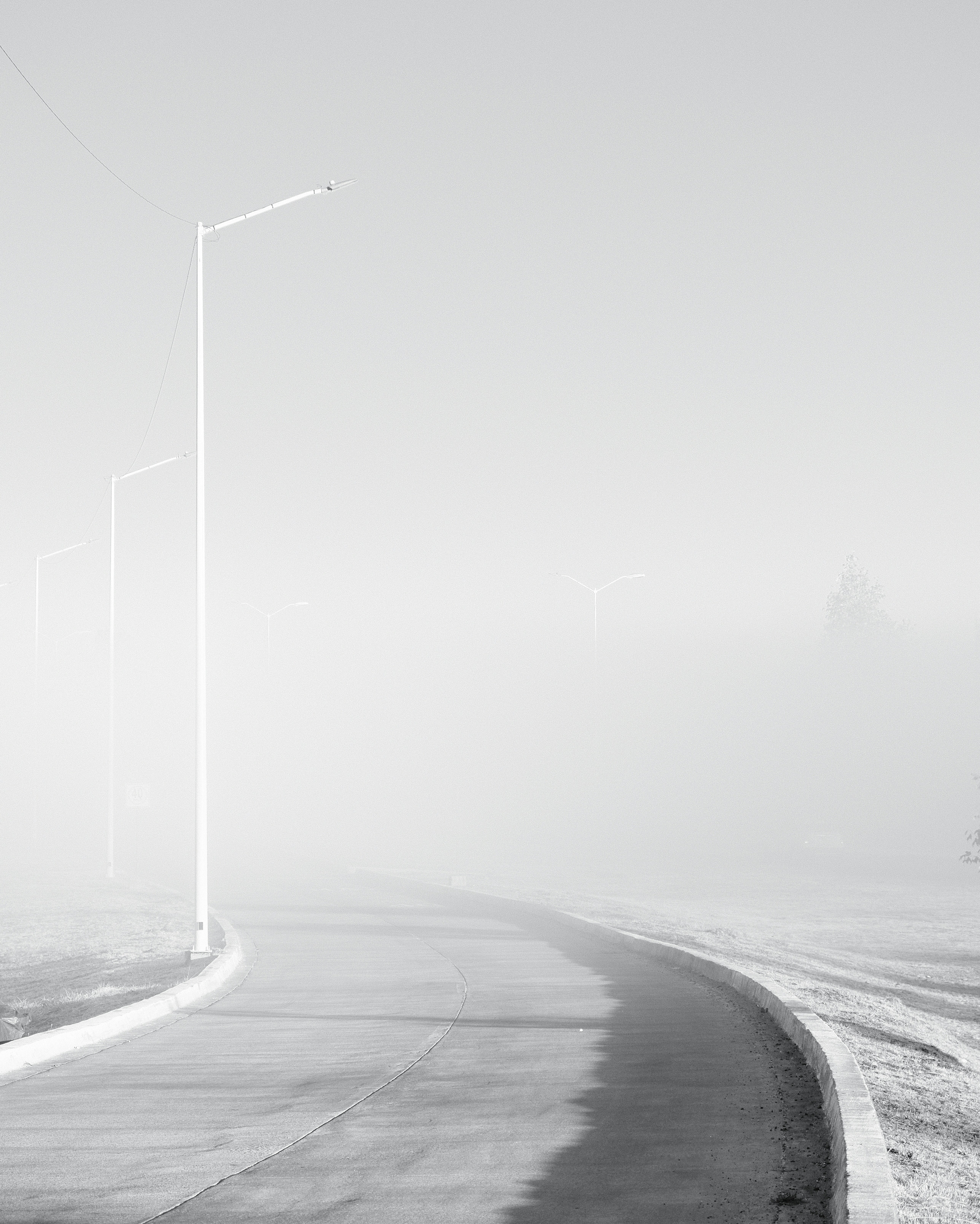 Fog-Wrapped Boulevard: A Quiet Arc of Light and Mist
