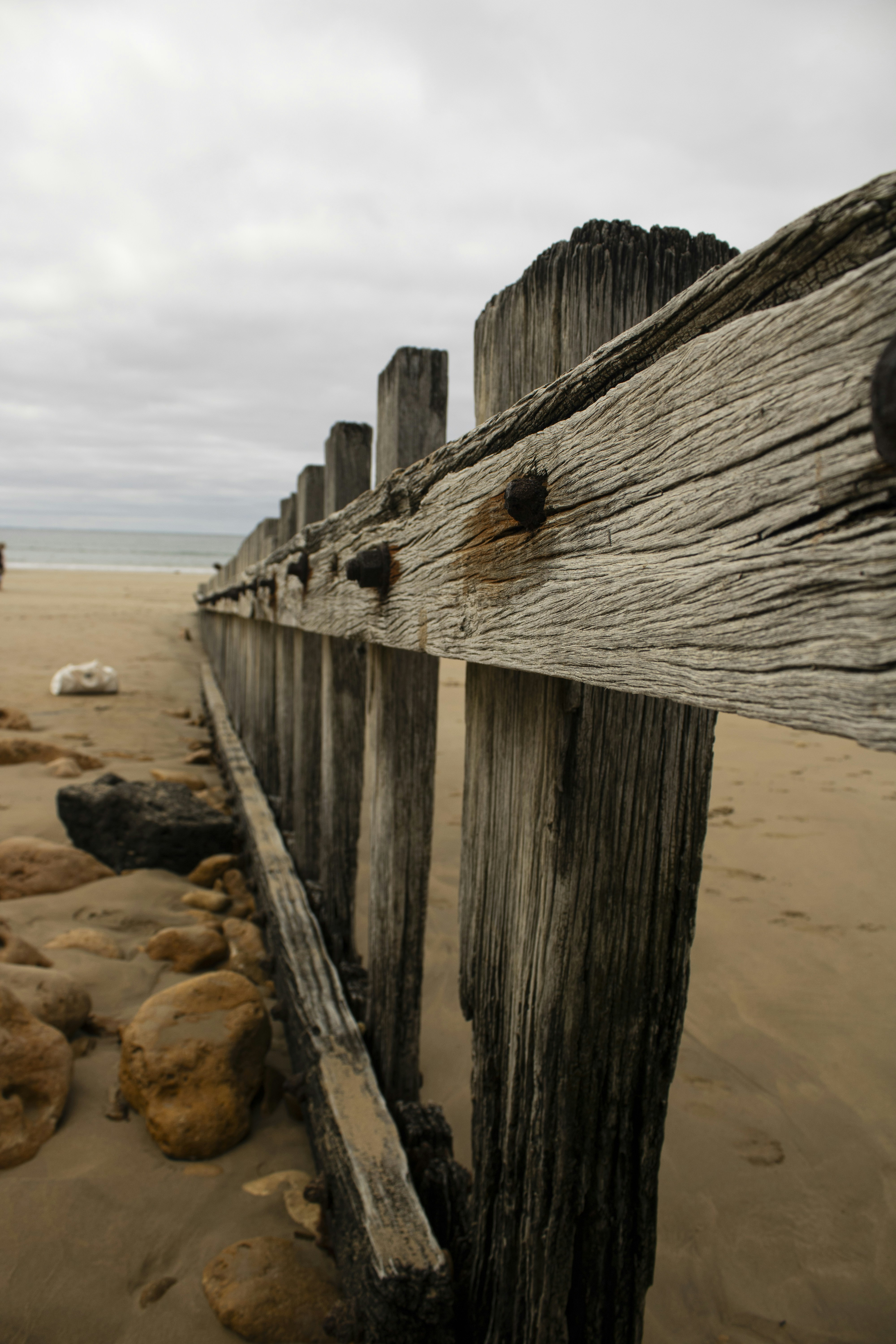 Weathered timbers marching toward the horizon: a windswept beach breakwater