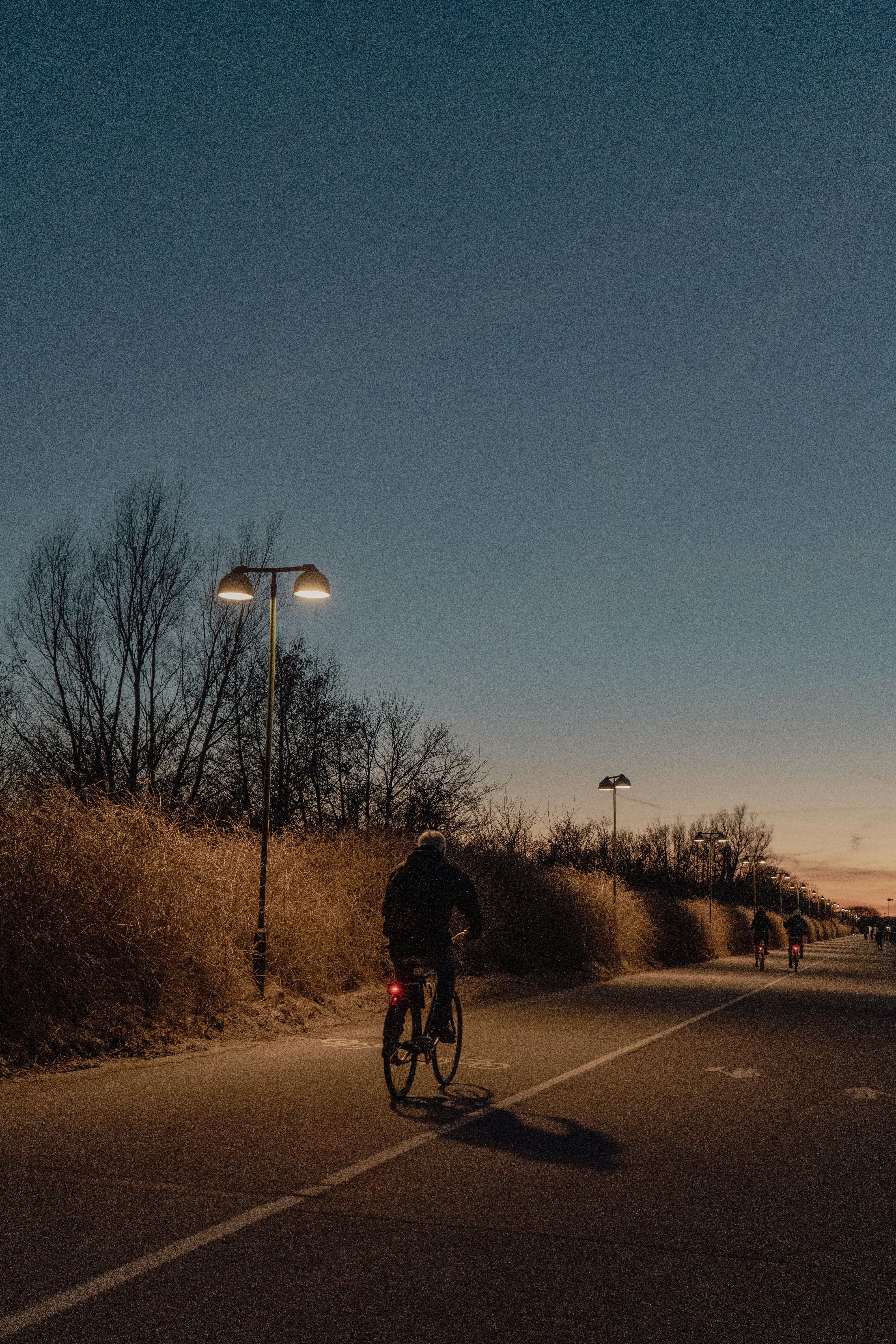 Photo by Karthick Gislen with Sony Alpha 7 III