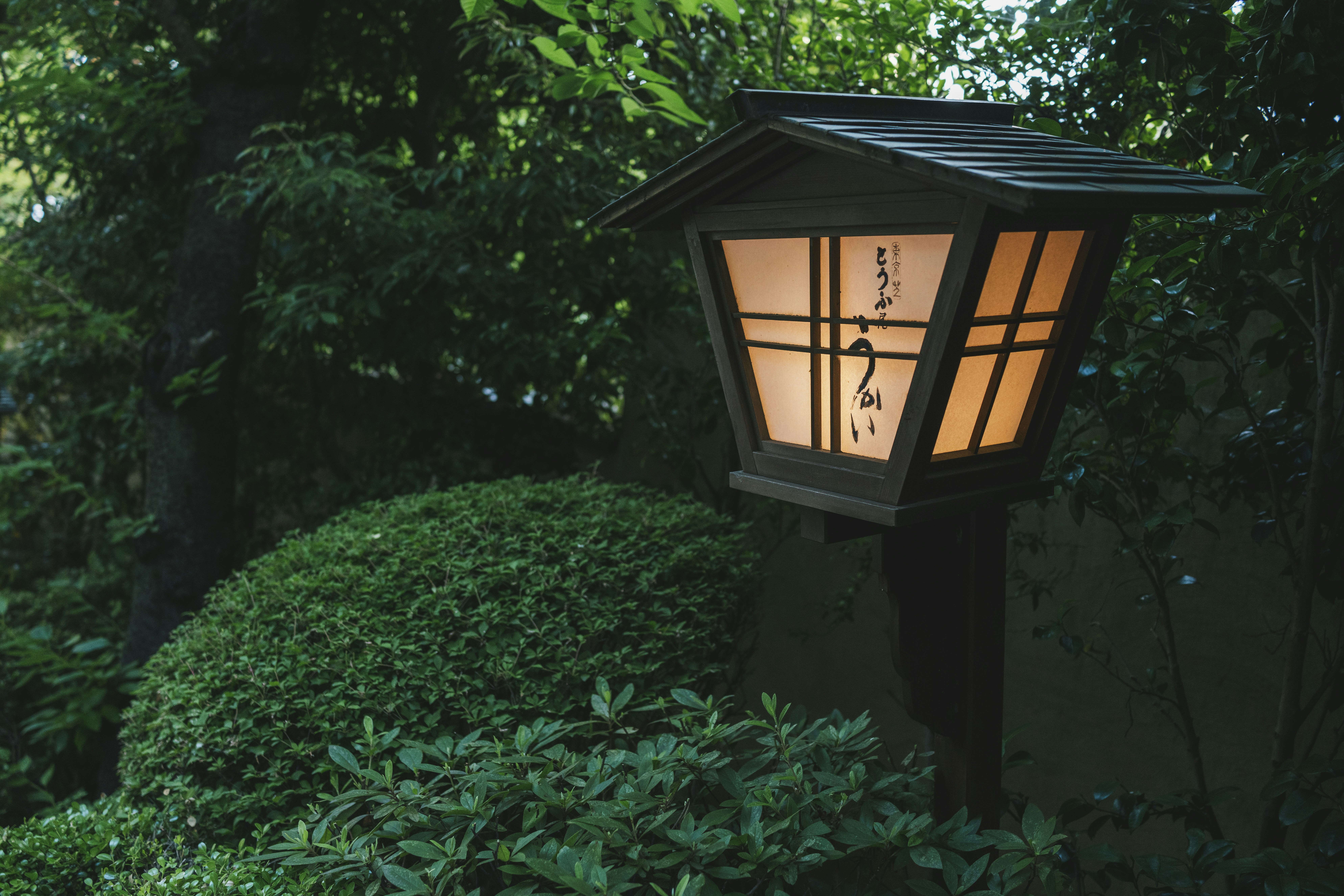 Amber lantern glows softly in a shaded Japanese garden with manicured bushes, captured in a tranquil dusk scene.