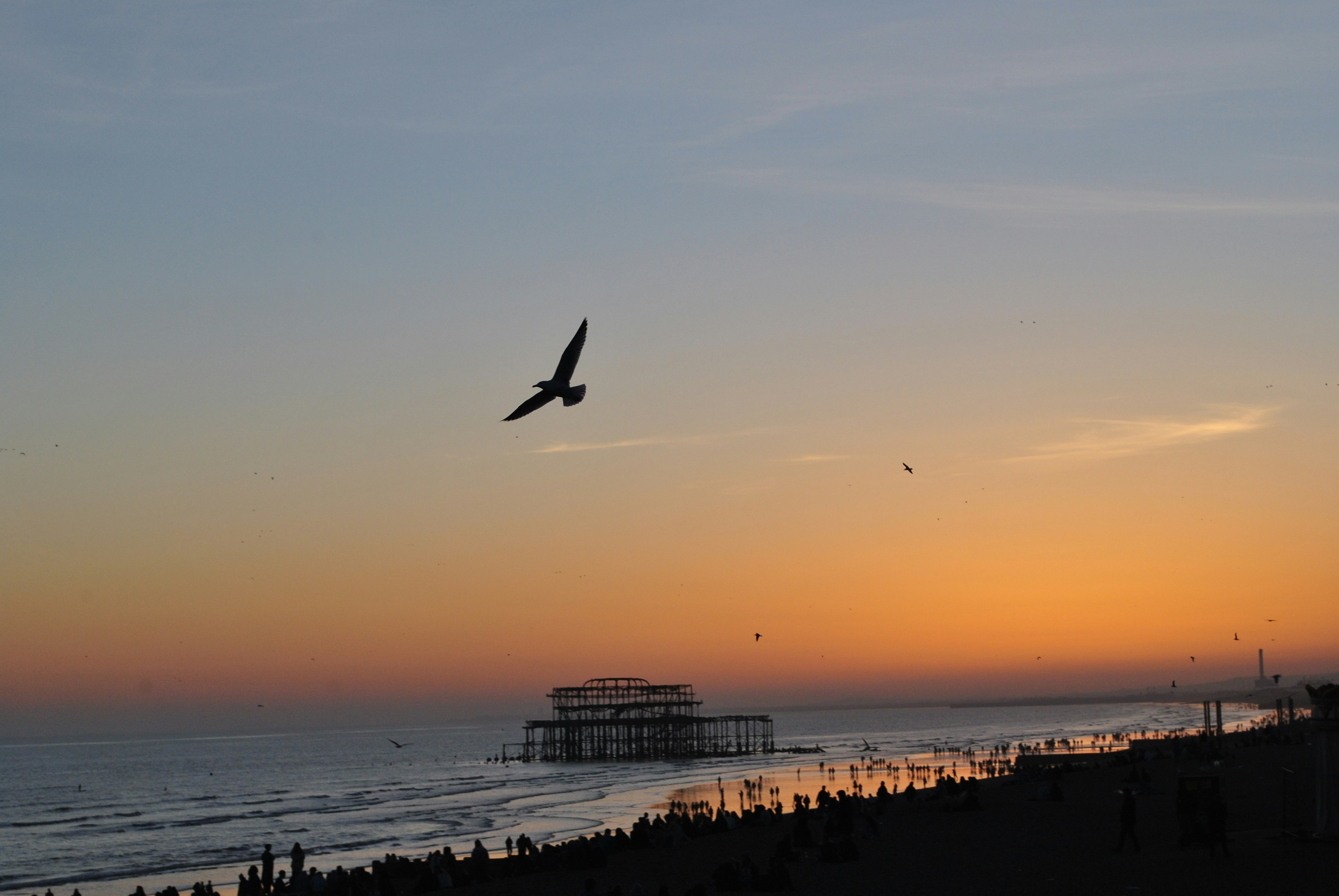 Evening Glide Above a Weathered Pier at Sunset