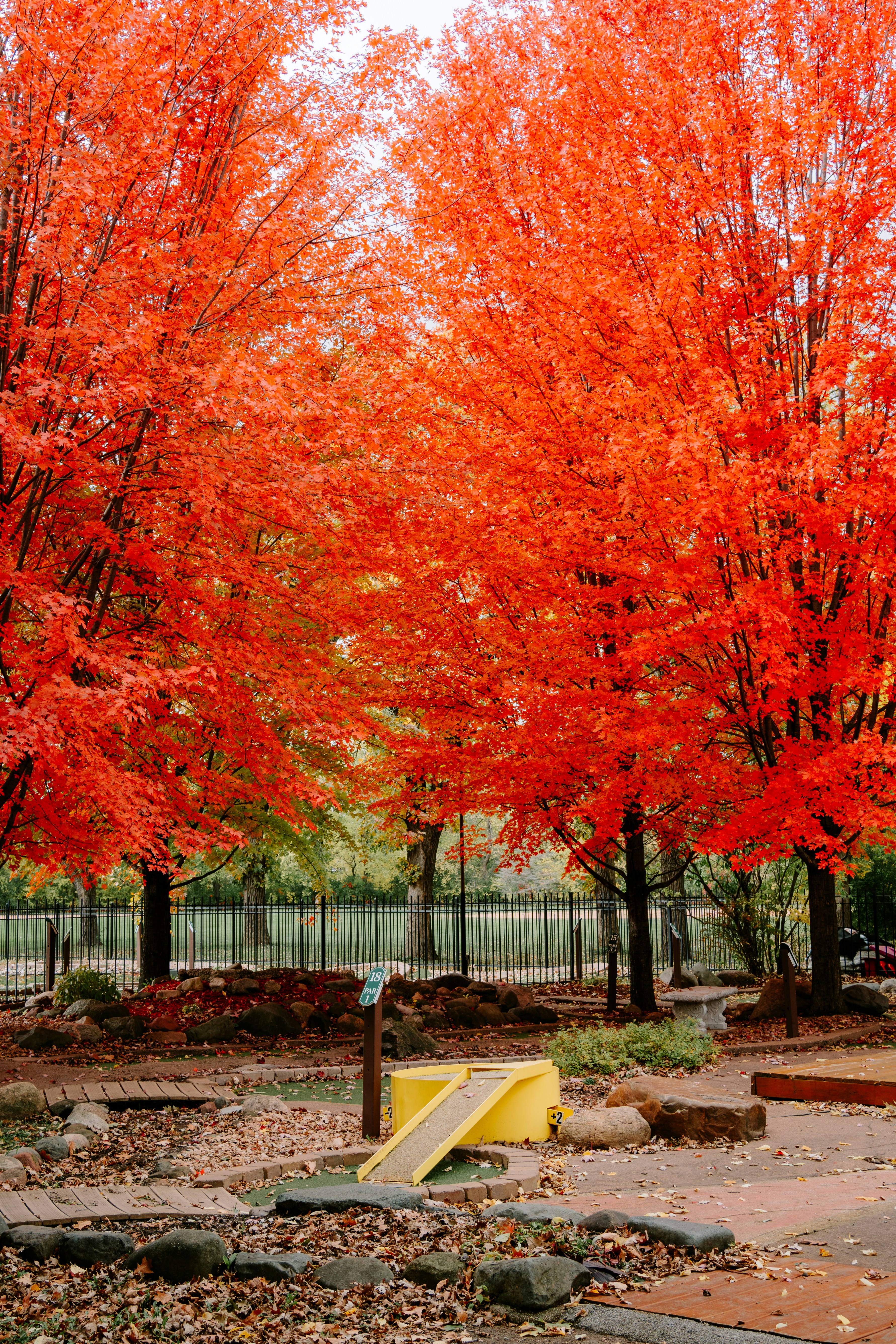 A park filled with lots of red trees photo – Free St paul Image on Unsplash