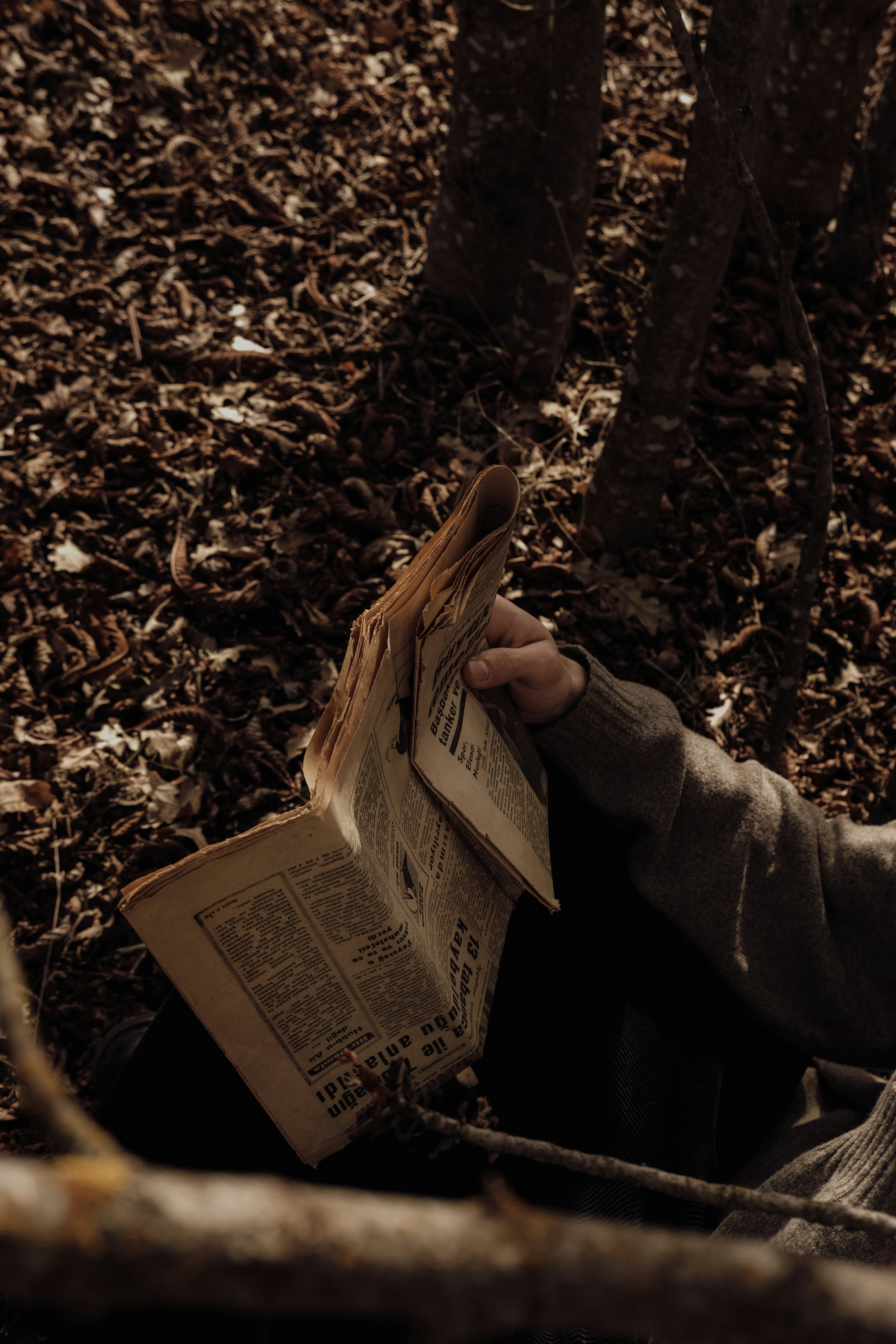 Quiet Focus: A Reader's Moment Amid Fallen Leaves