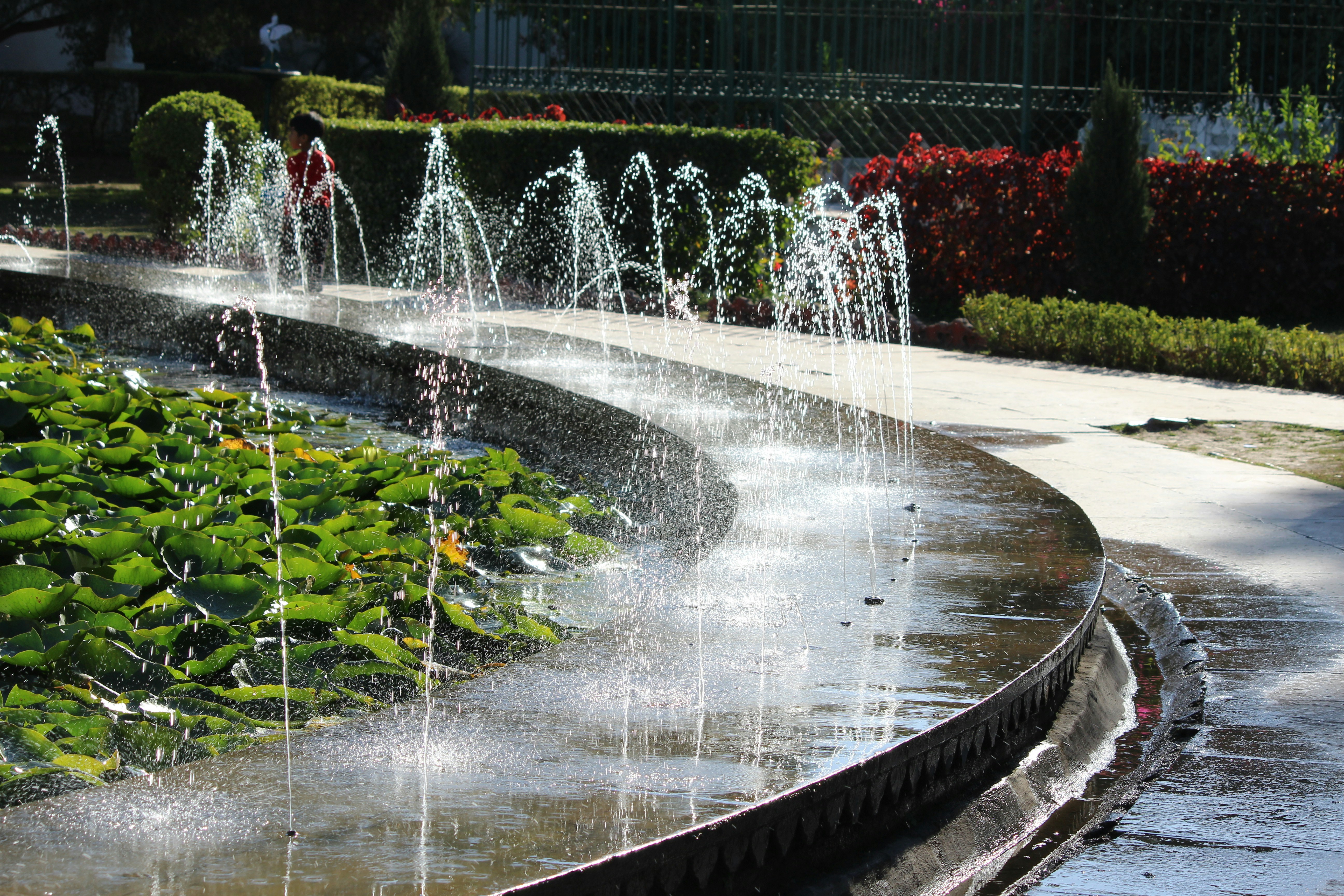 A water spouting fountain in the middle of a garden photo – Free Art ...