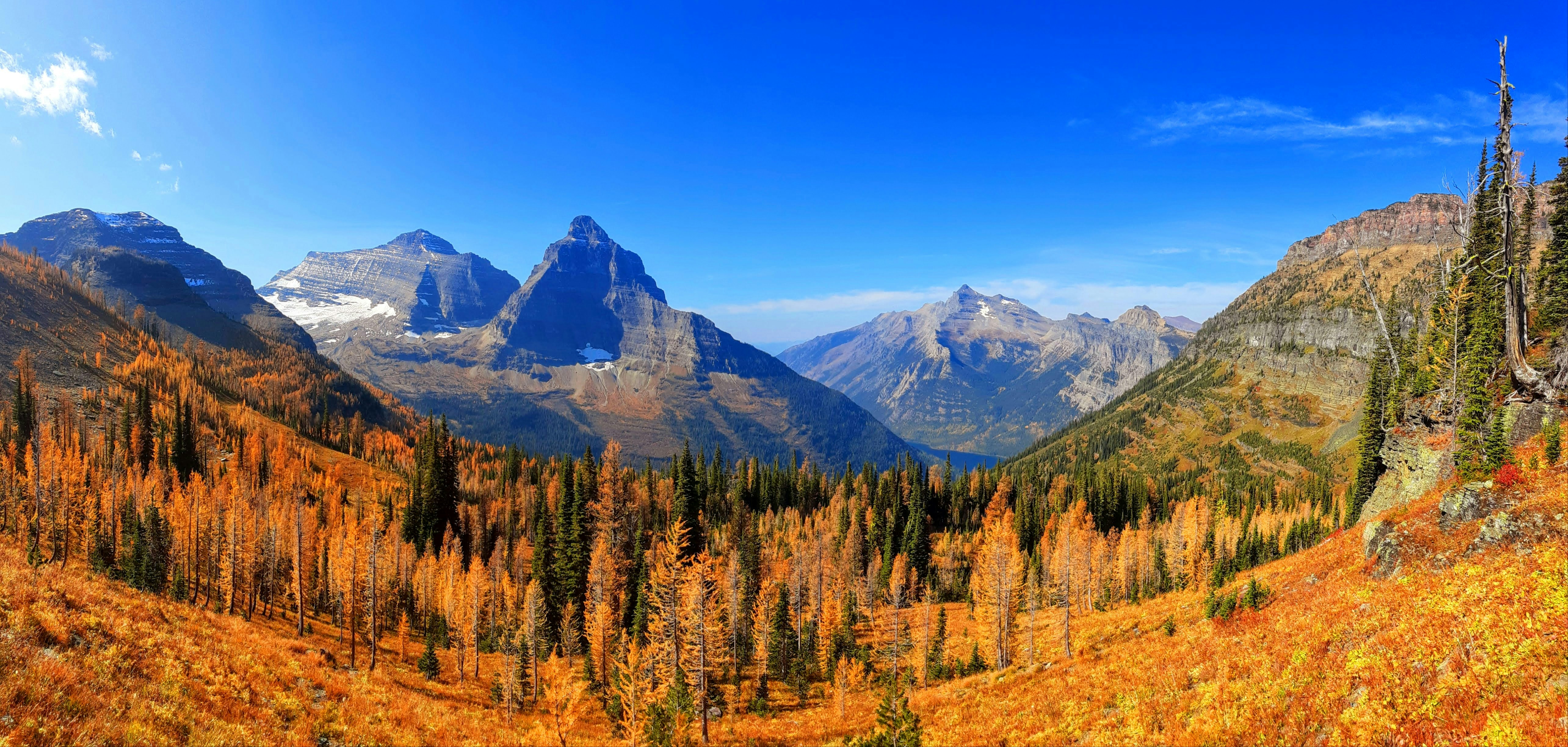 Larch Fire Over an Alpine Basin Under Sapphire Sky