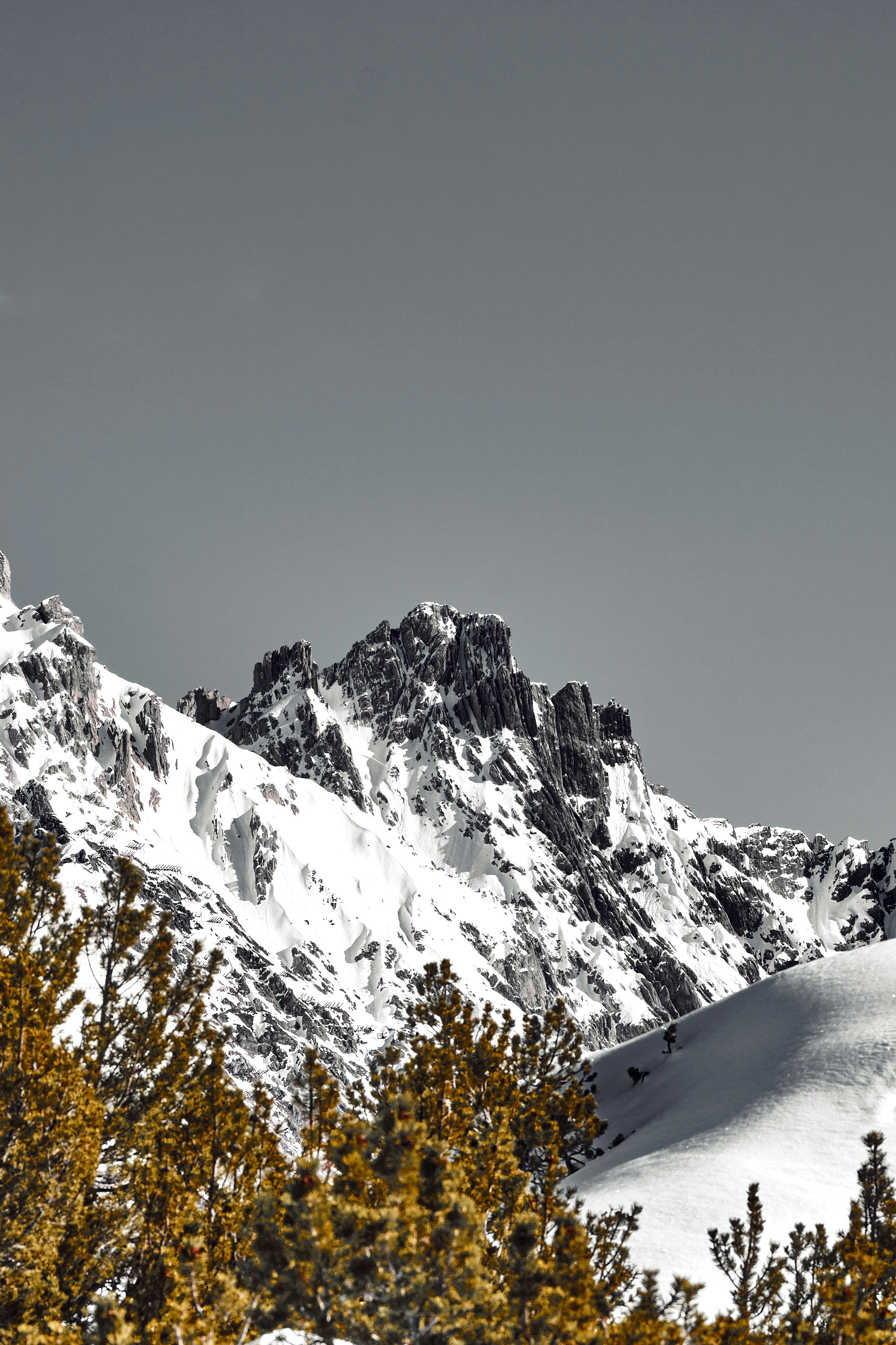 A snow covered mountain with trees in the foreground photo – Free ...
