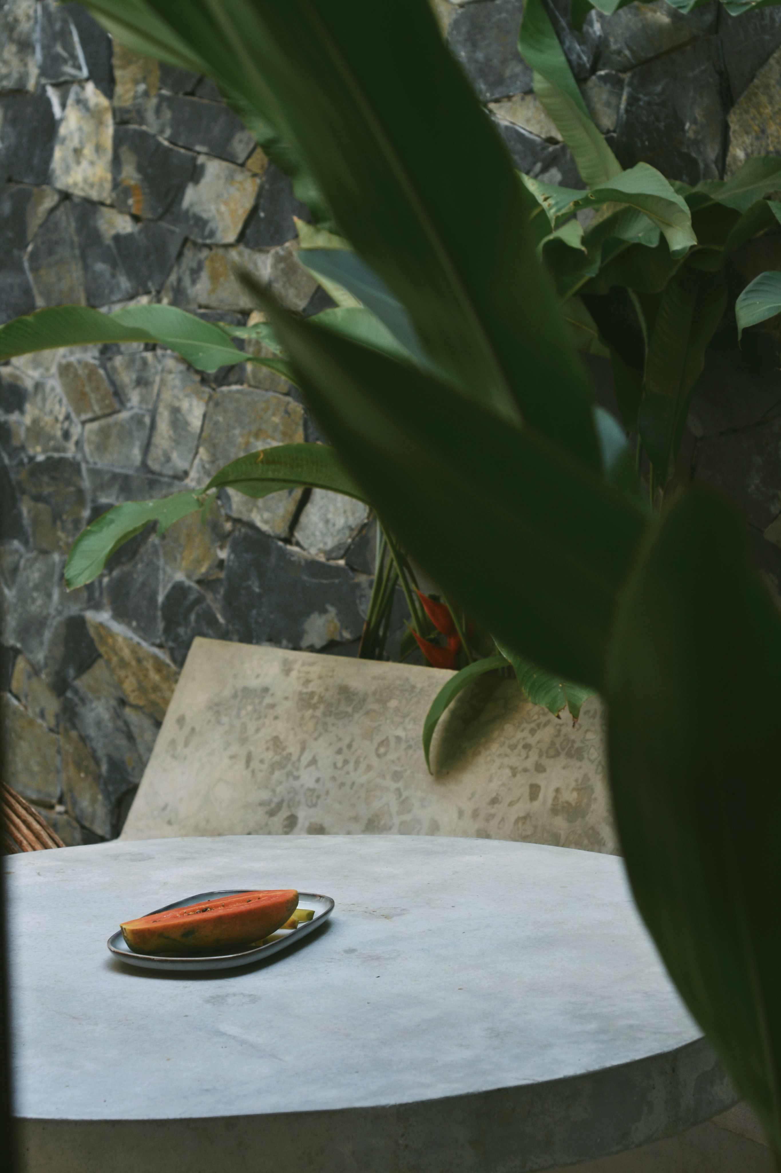 Photo by Anaclara Vardiero with Nikon D3100