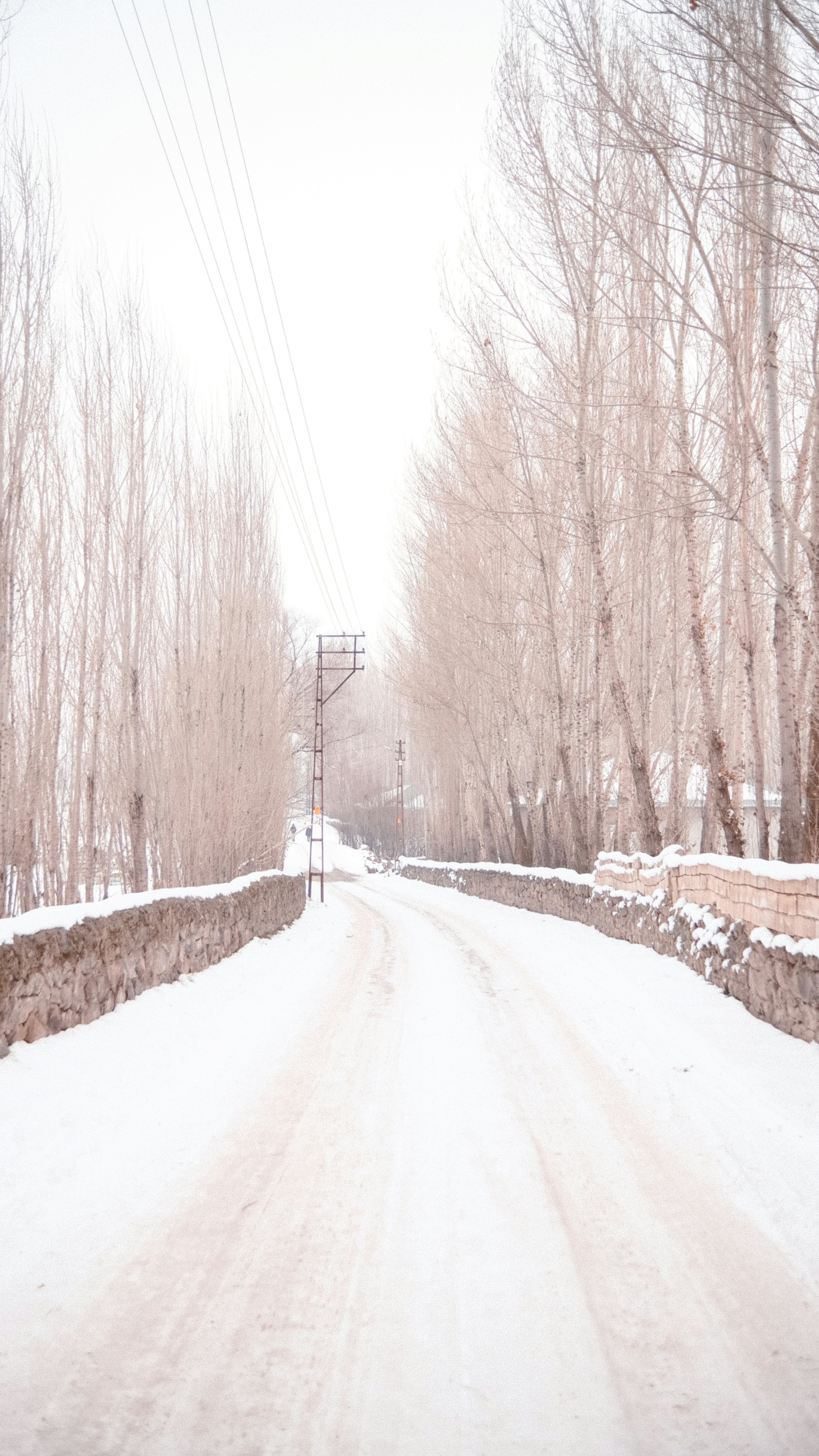 Whispers of Winter: A Snow-Covered Pathway
