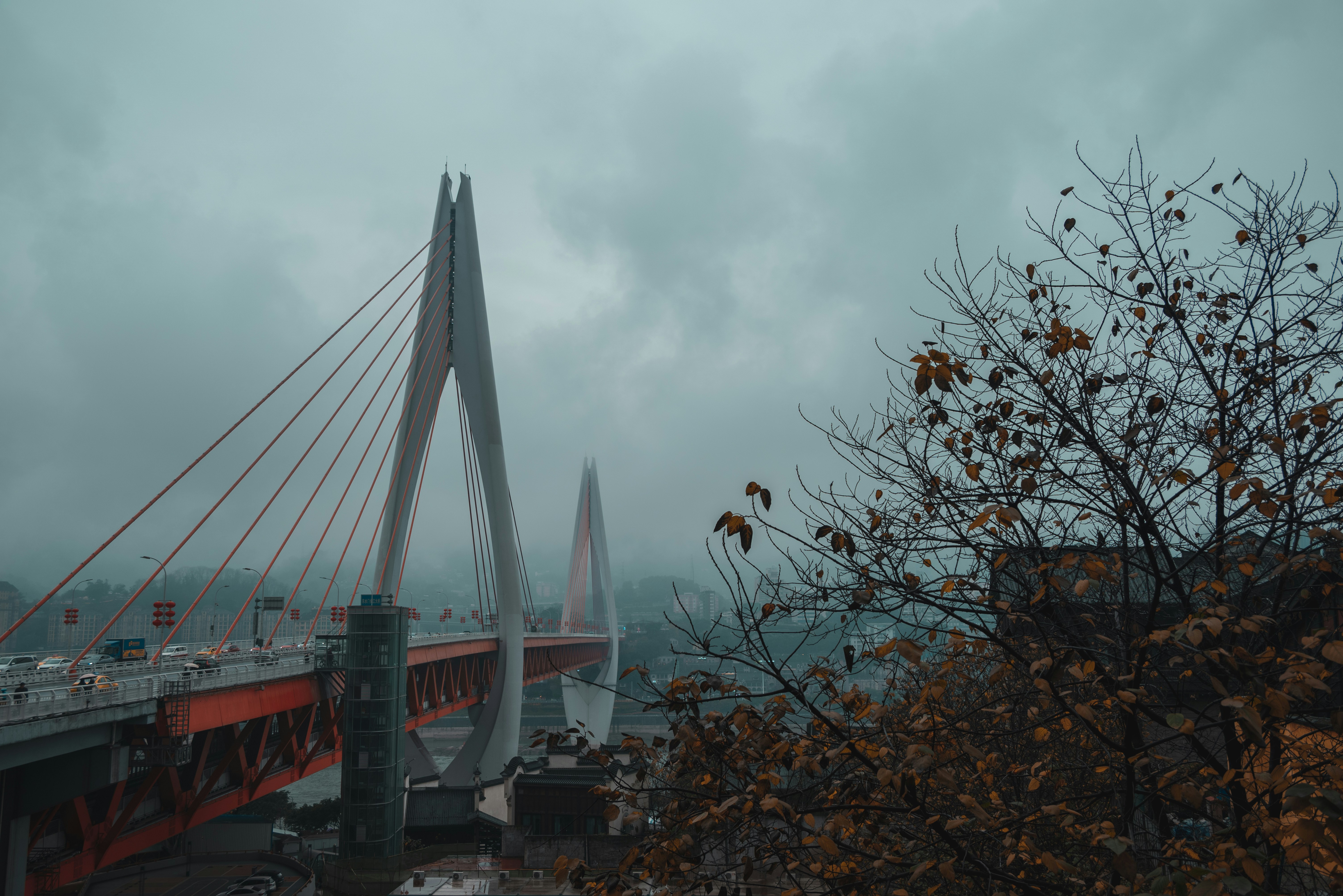 A view of a bridge in the rain photo – Free Grey Image on Unsplash