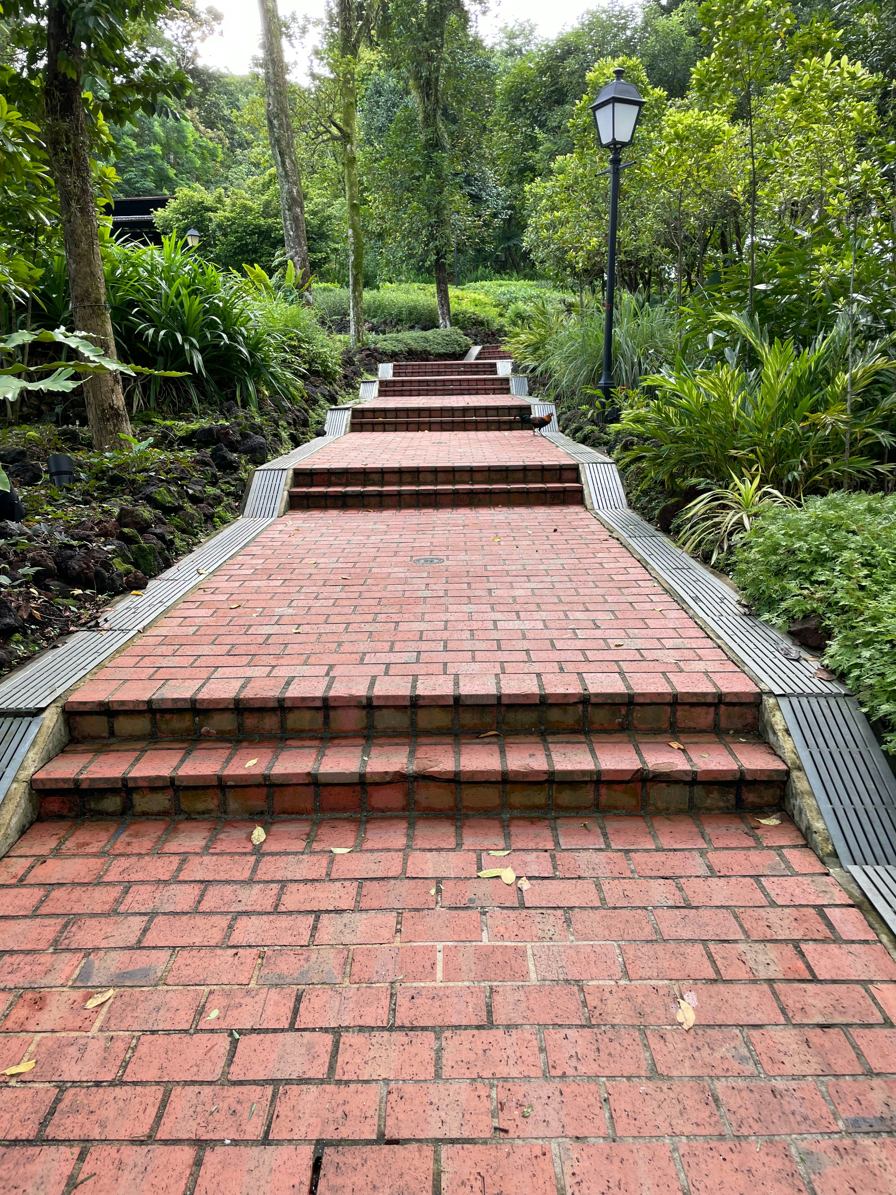 A set of red brick steps leading to a lush green park photo – Free ...