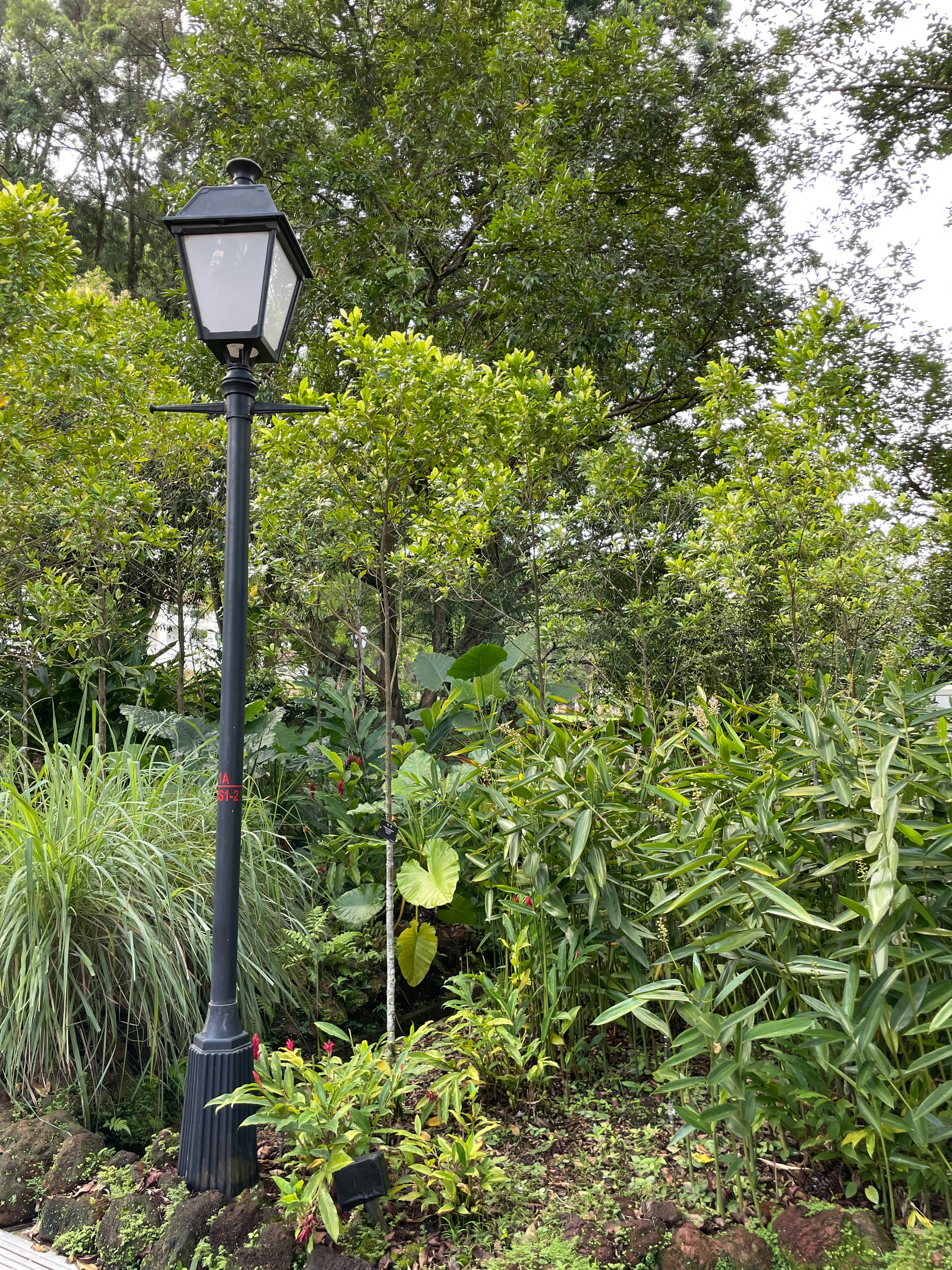 A lamp post in the middle of a garden photo – Free Green Image on Unsplash