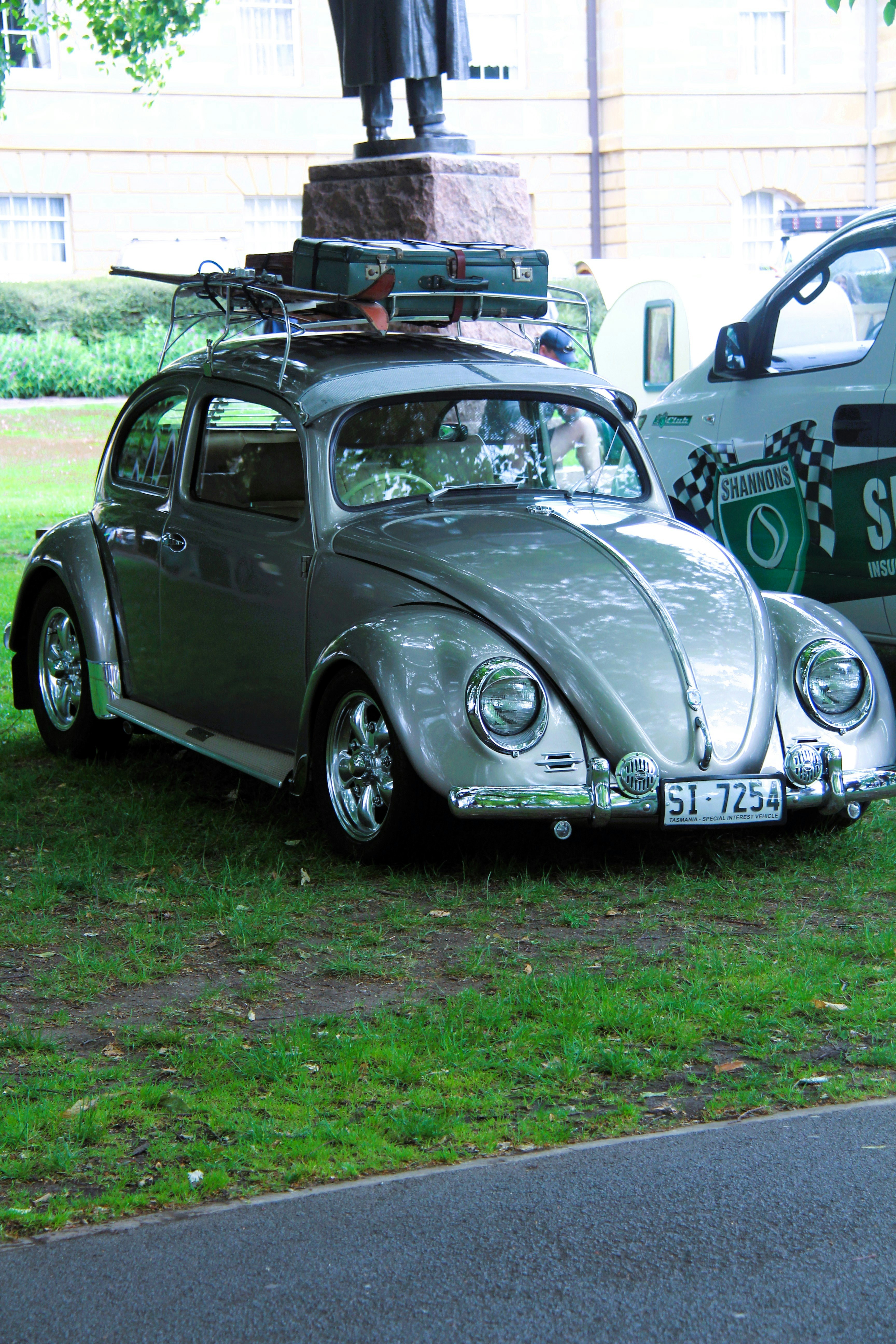 Luggage-Laden Beetle in a Quiet Park Moment