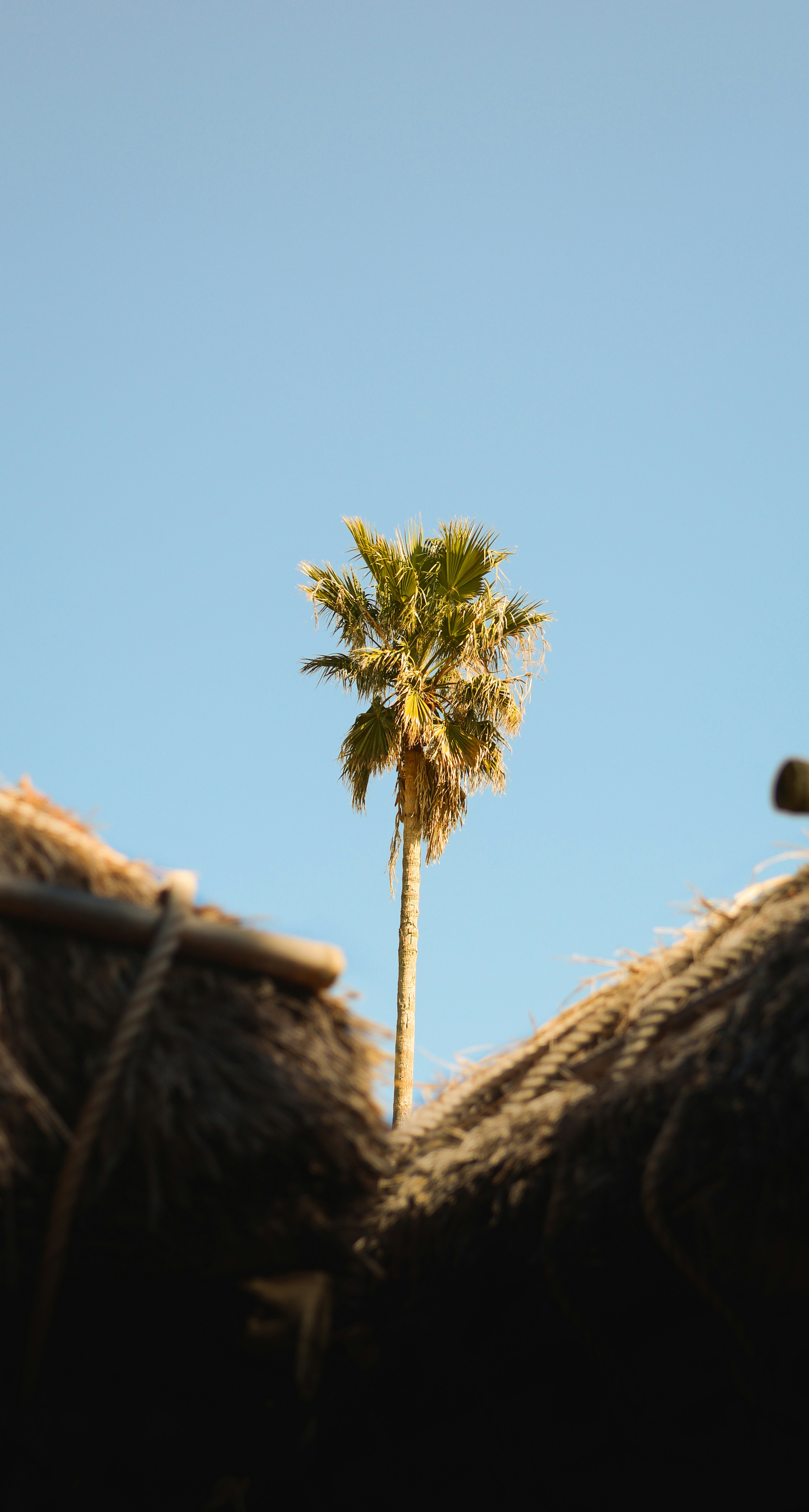 Photo by HorseRat with Canon EOS R10