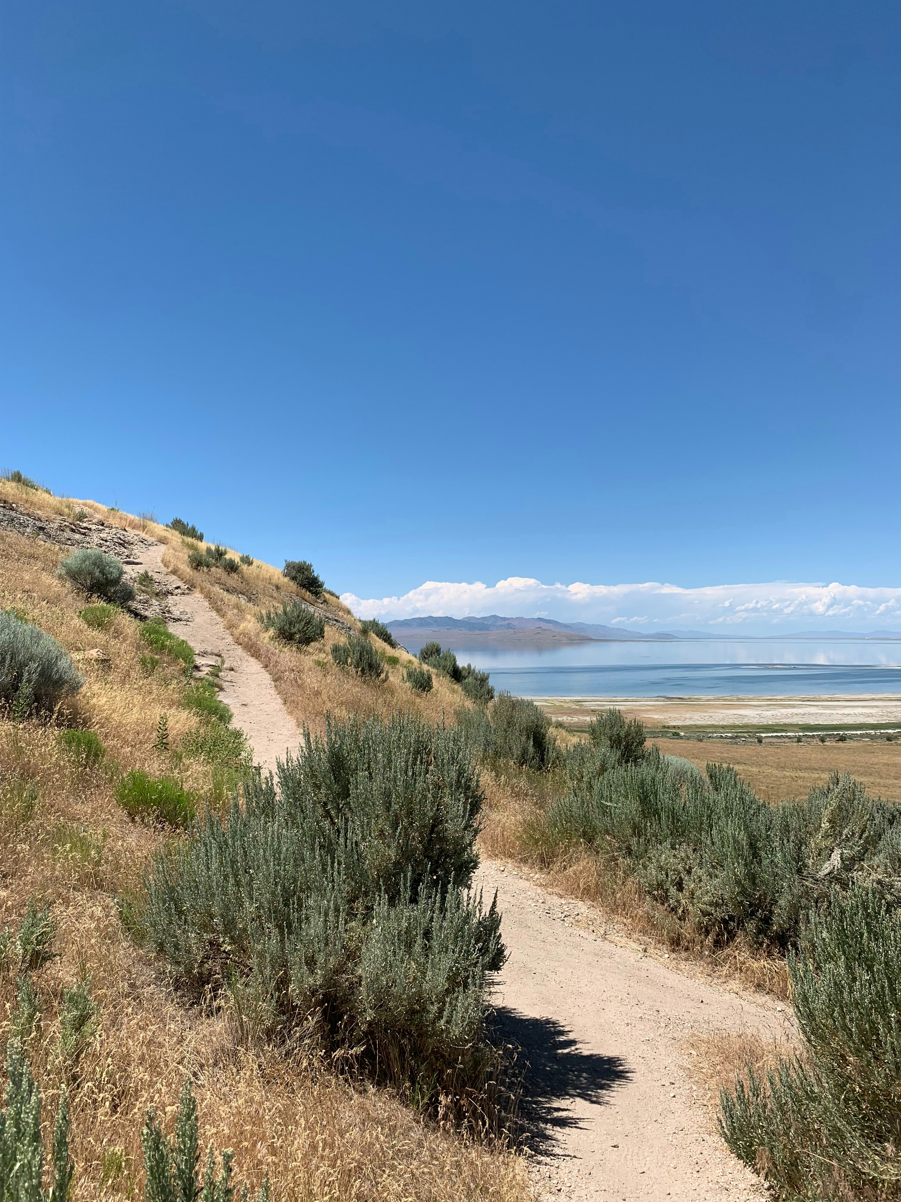 Ridge Trail to a Quiet Lake: Sagebrush and a Glassy Horizon