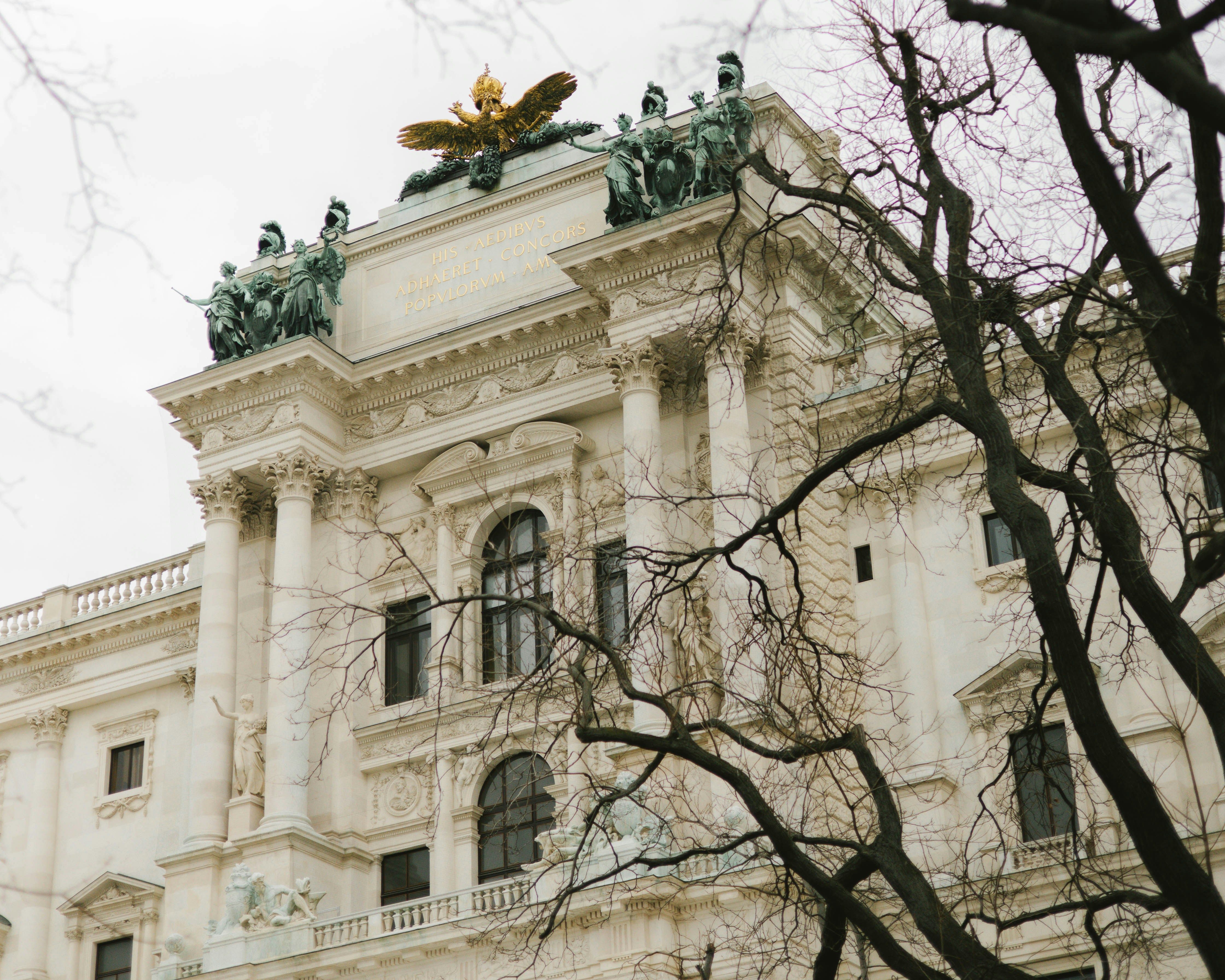 Photo by Ciocan Ciprian with Canon EOS R