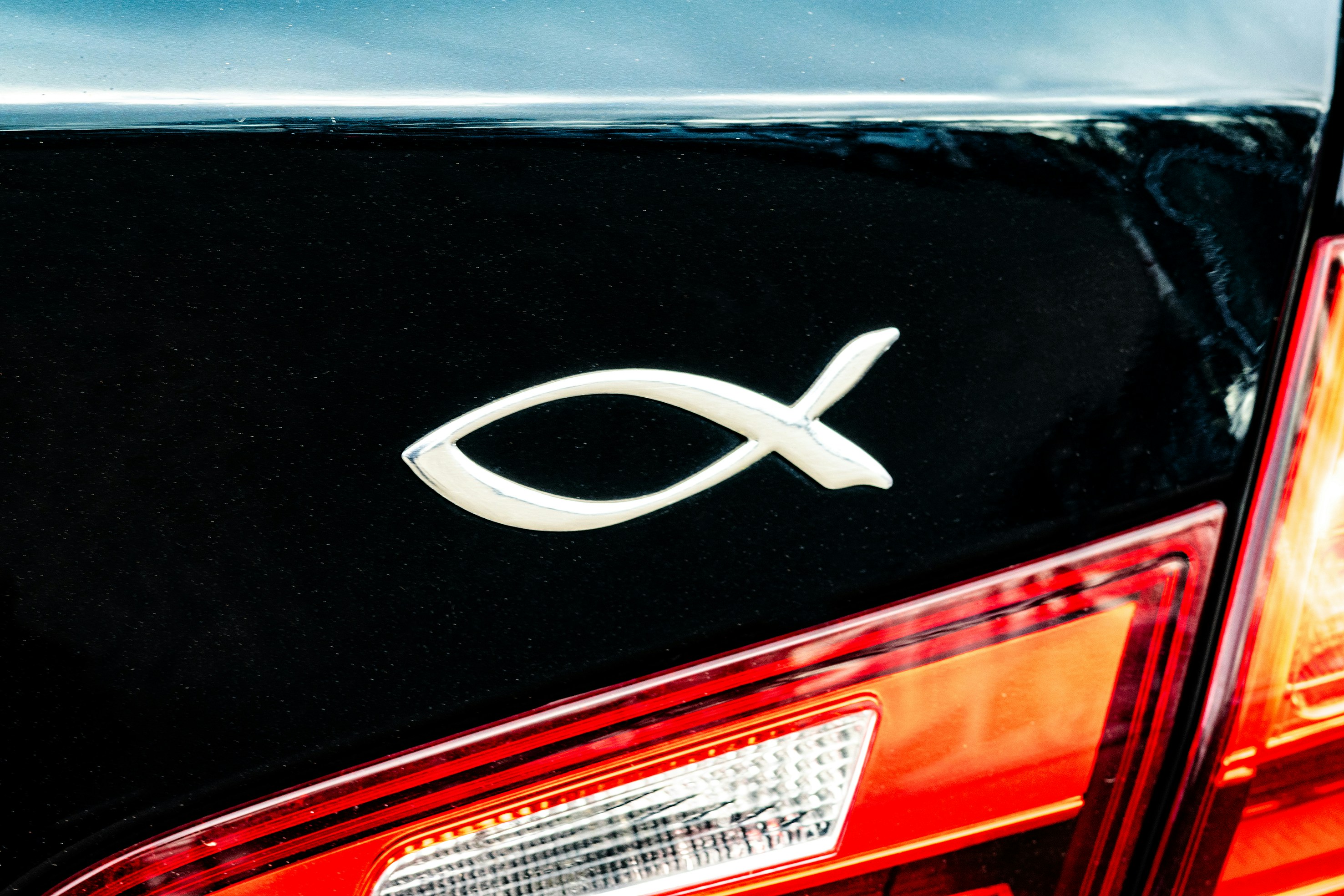 Photo by Marek Studzinski with Canon EOS R7