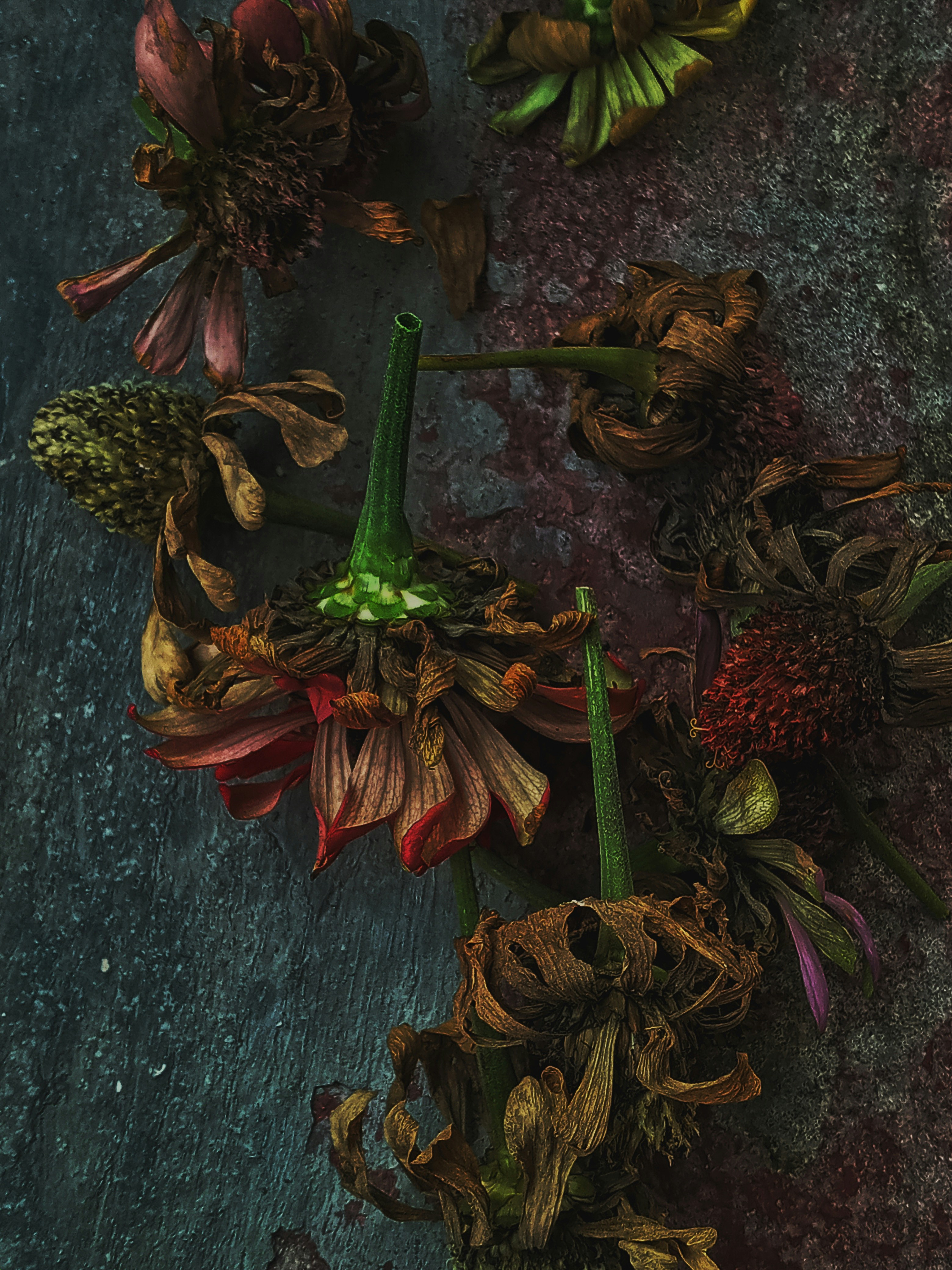 A moody still-life of dried flowers arranged on a textured, dark surface, emphasizing rich tones and rugged texture without a central subject in full bloom.