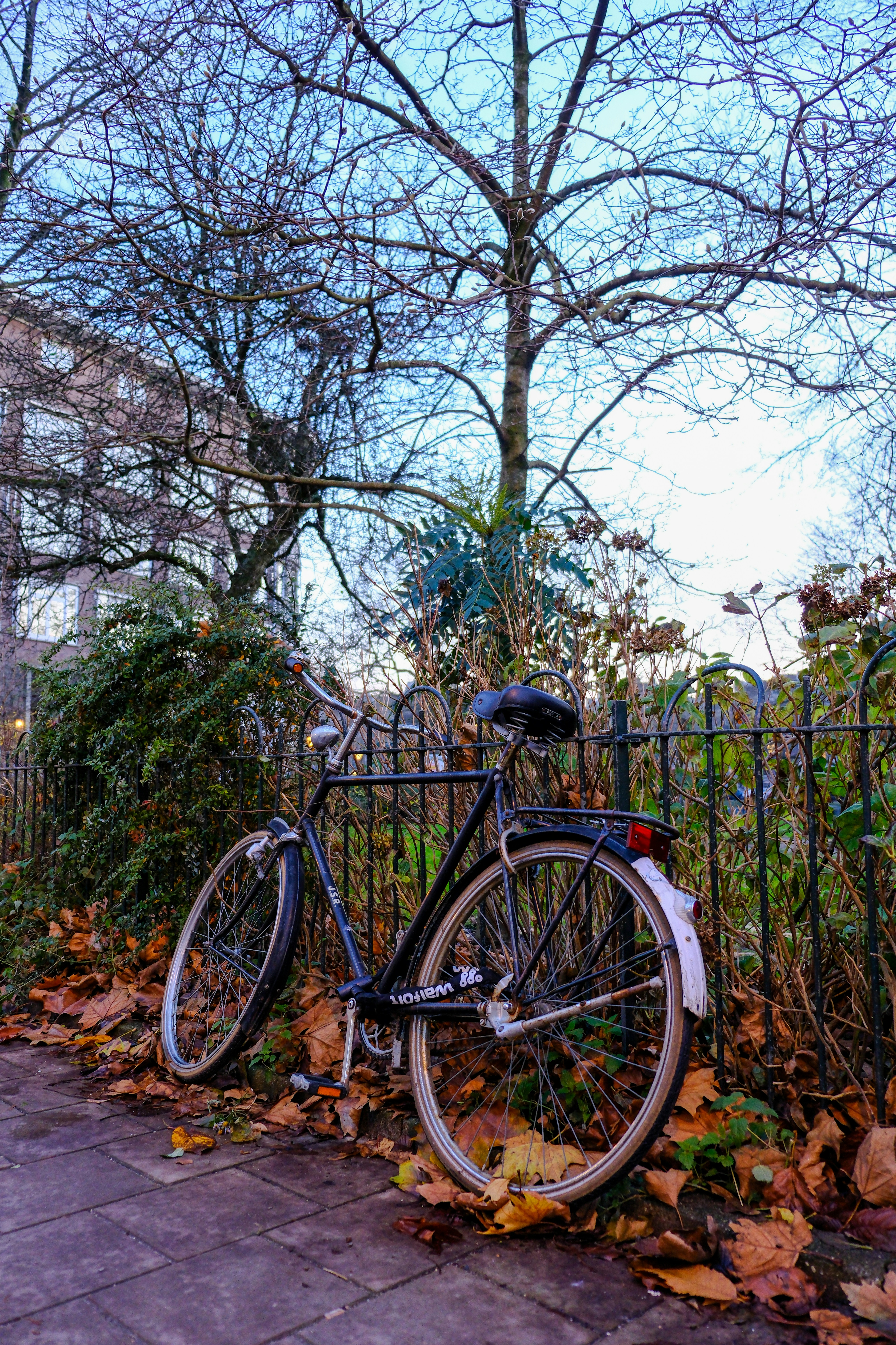 Bicycle Resting Against a Leaf-Littered Fence at Dusk