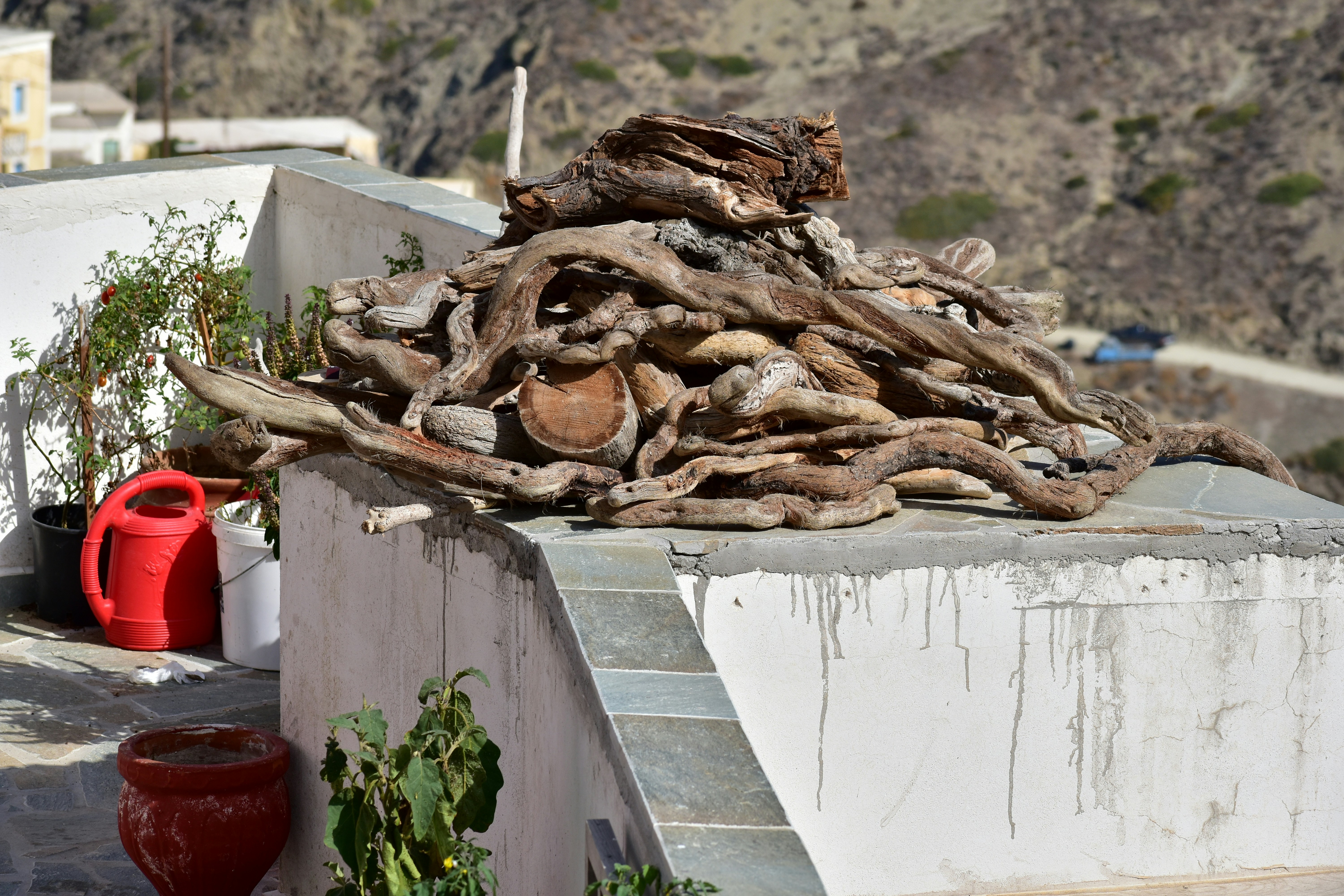 Driftwood Crest on a Sunlit Rooftop Edge